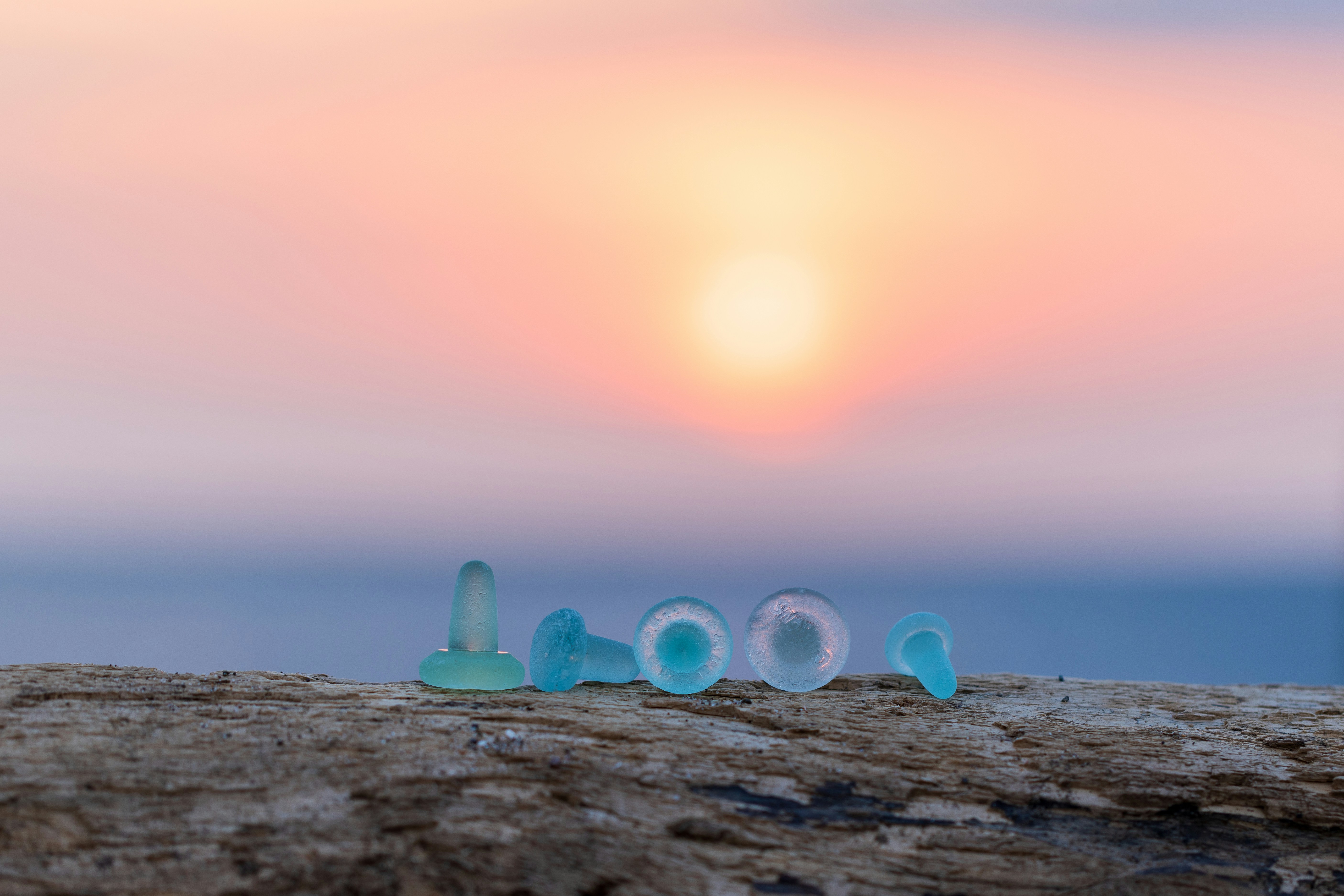 Tiny sea-glass crescents on a weathered log against a pastel ocean dusk