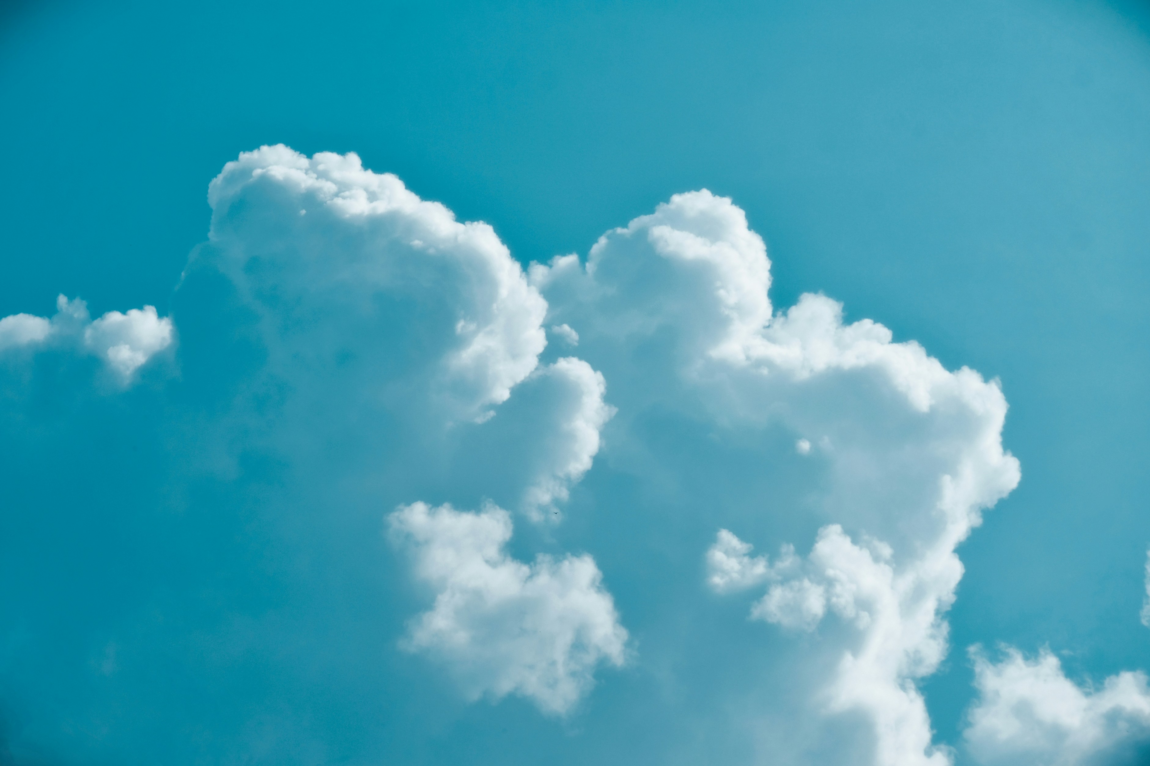 Cloud Sculptures Against a Clean Blue Horizon