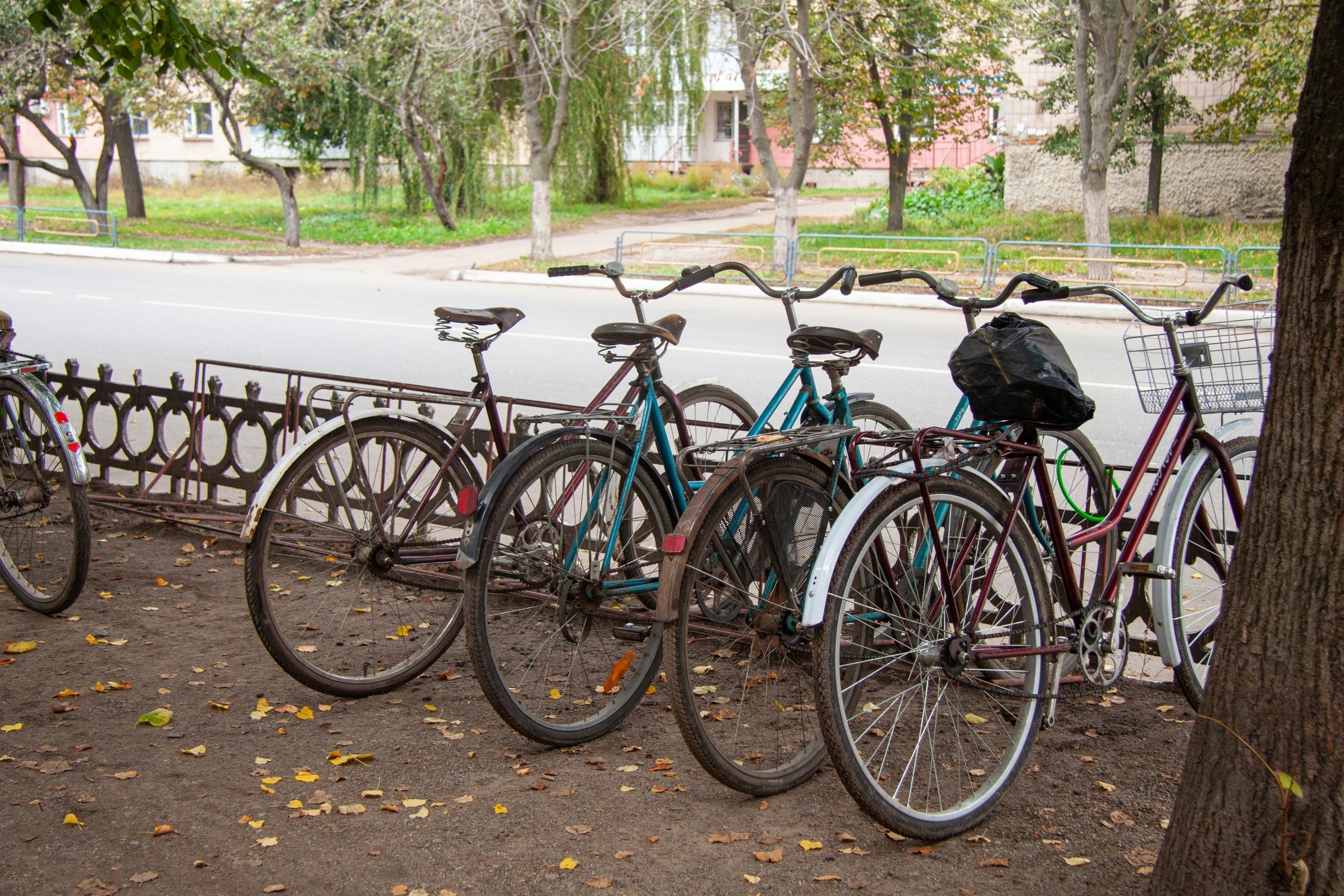 Row of Bikes: Quiet Campus Courtyard Shadowed by Trees