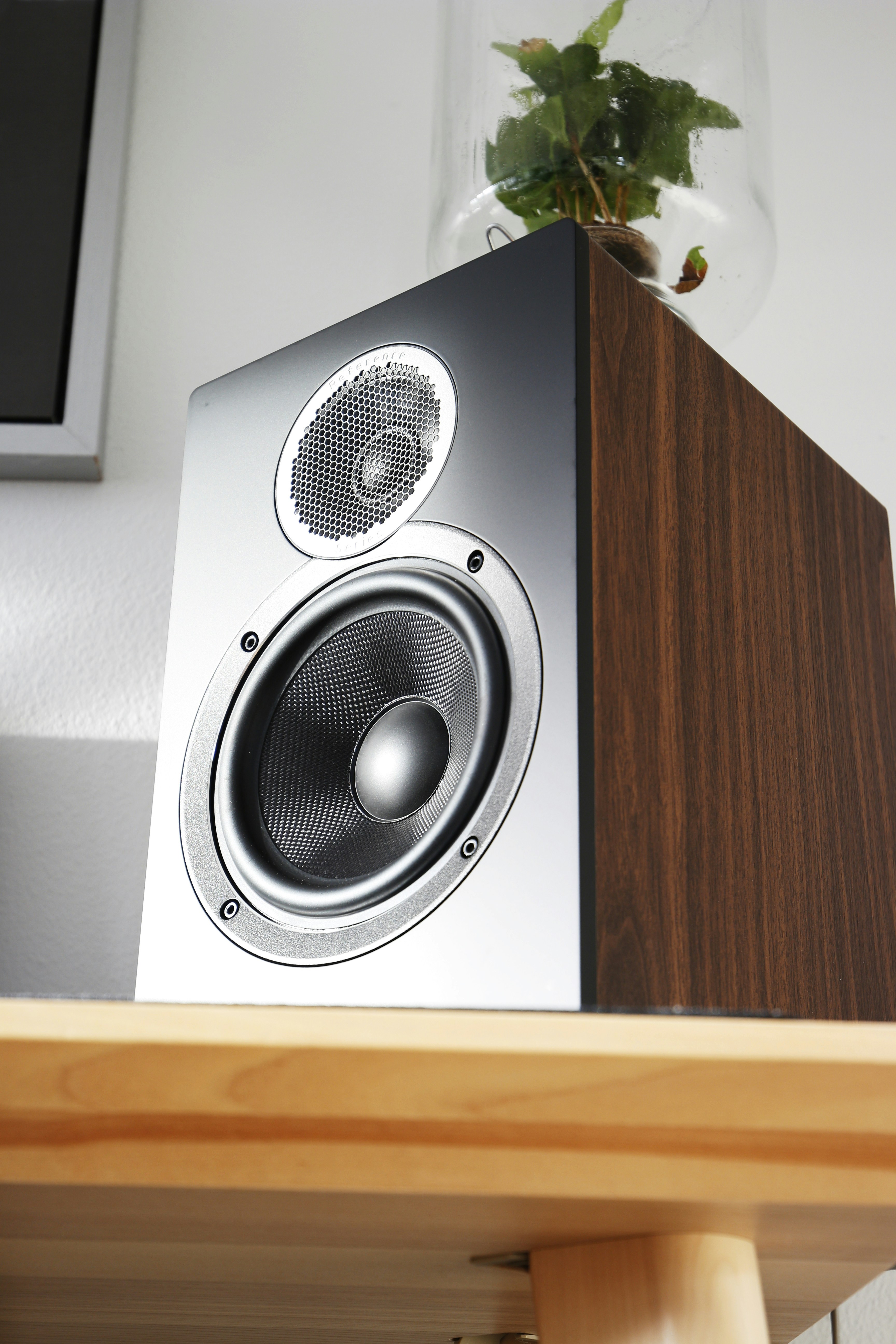 A wooden-cased bookshelf speaker sits on a light wood shelf, captured at an angle that emphasizes the metallic drivers and circular grille. The setup suggests a modern living space with a plant visible in the background.