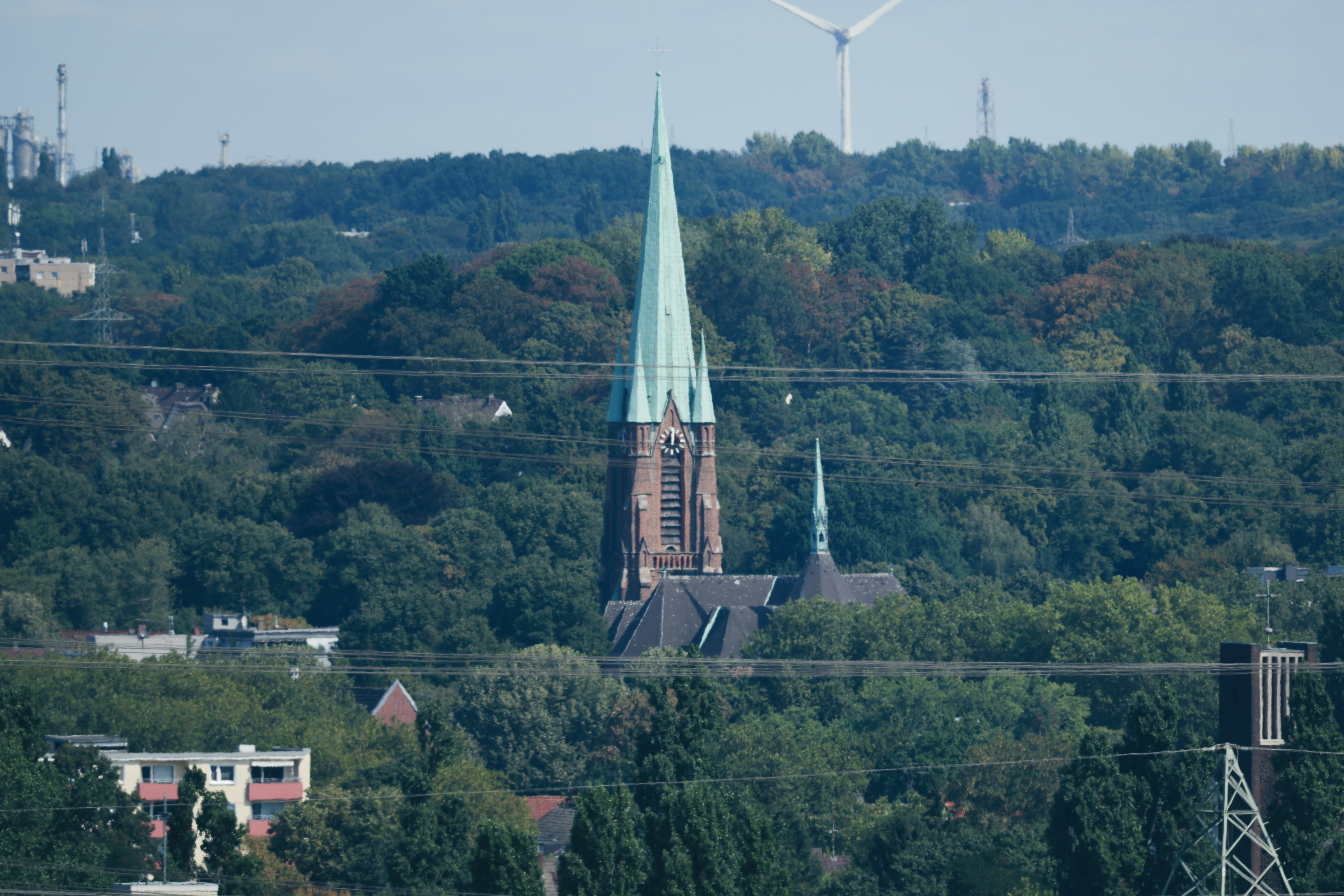 Steeple in the Green Crown: A Distant Church Rising Between Forests