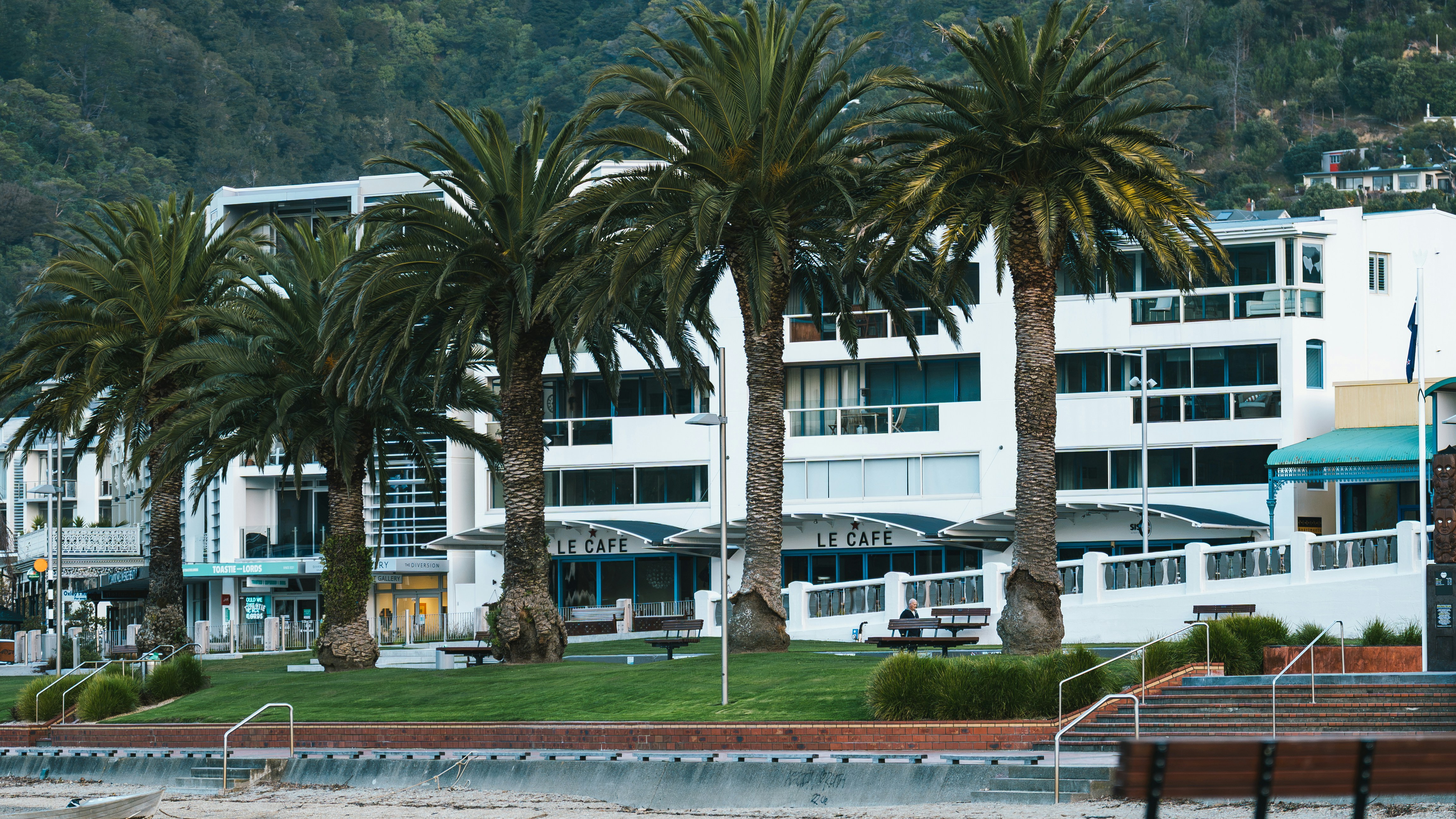 Palm-lined promenade against modern hotel facade