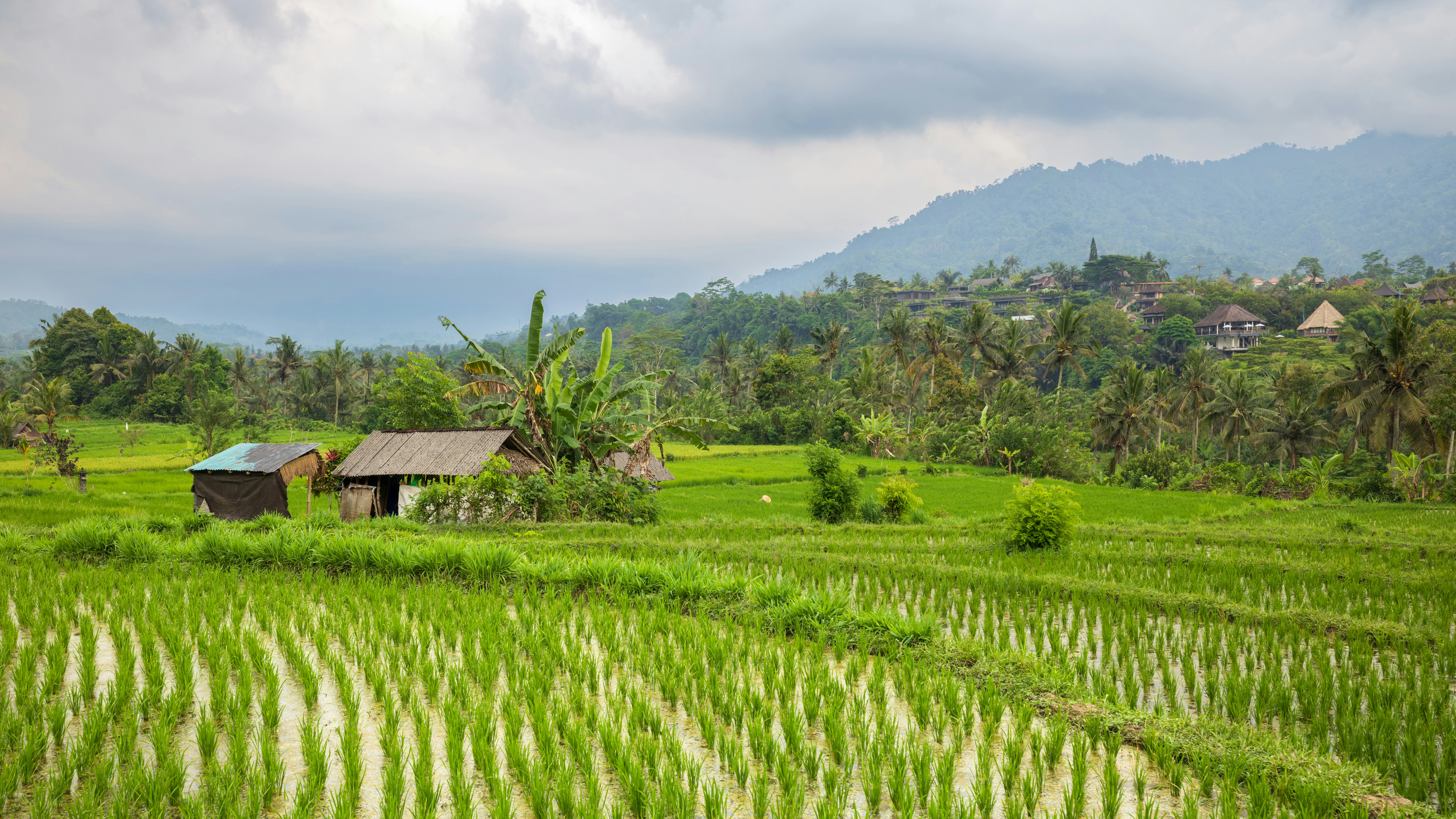Verdant Terrace Village Under Cloudy Skies