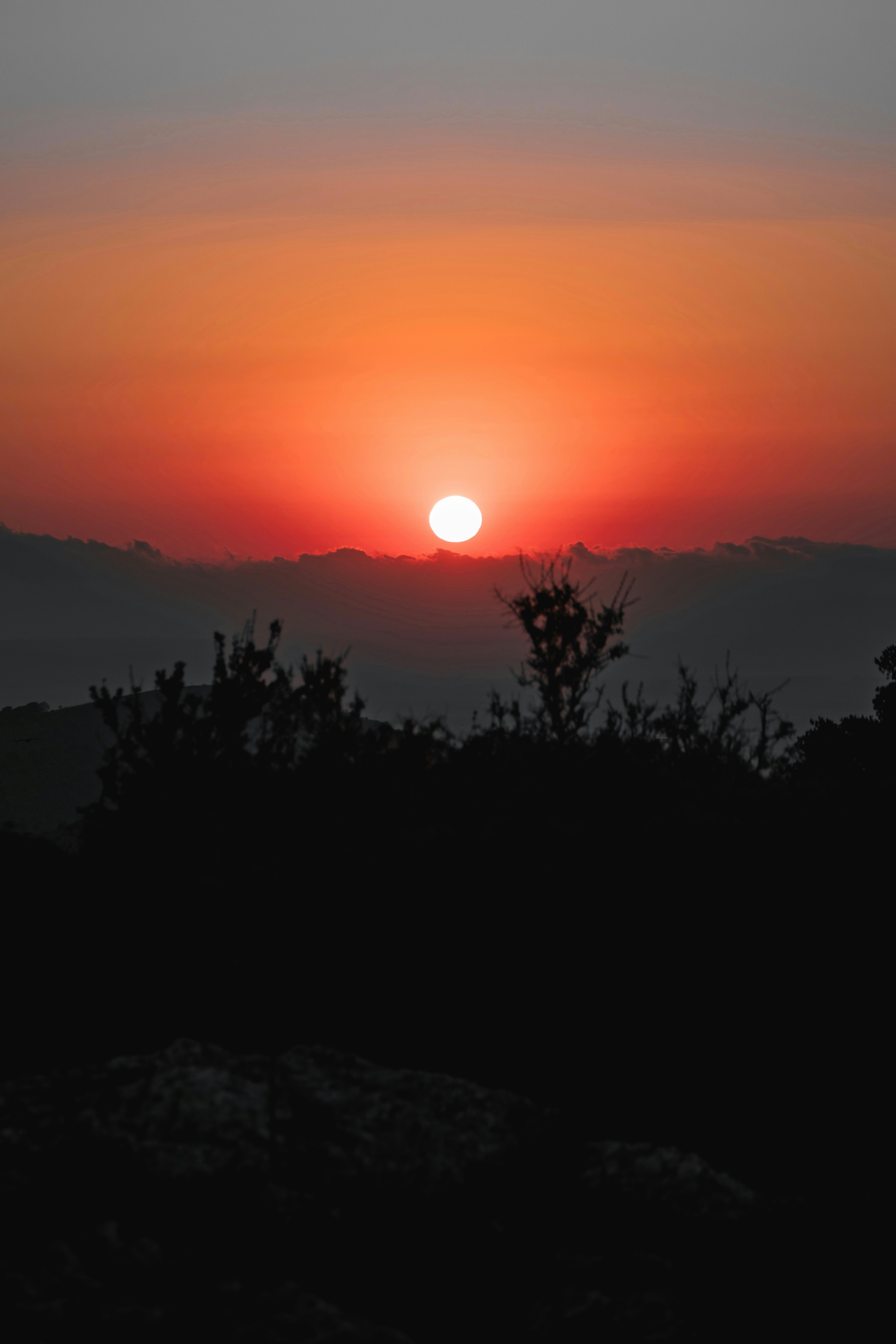 Orange Halo at Dusk: Sunset Over Silent Bushes