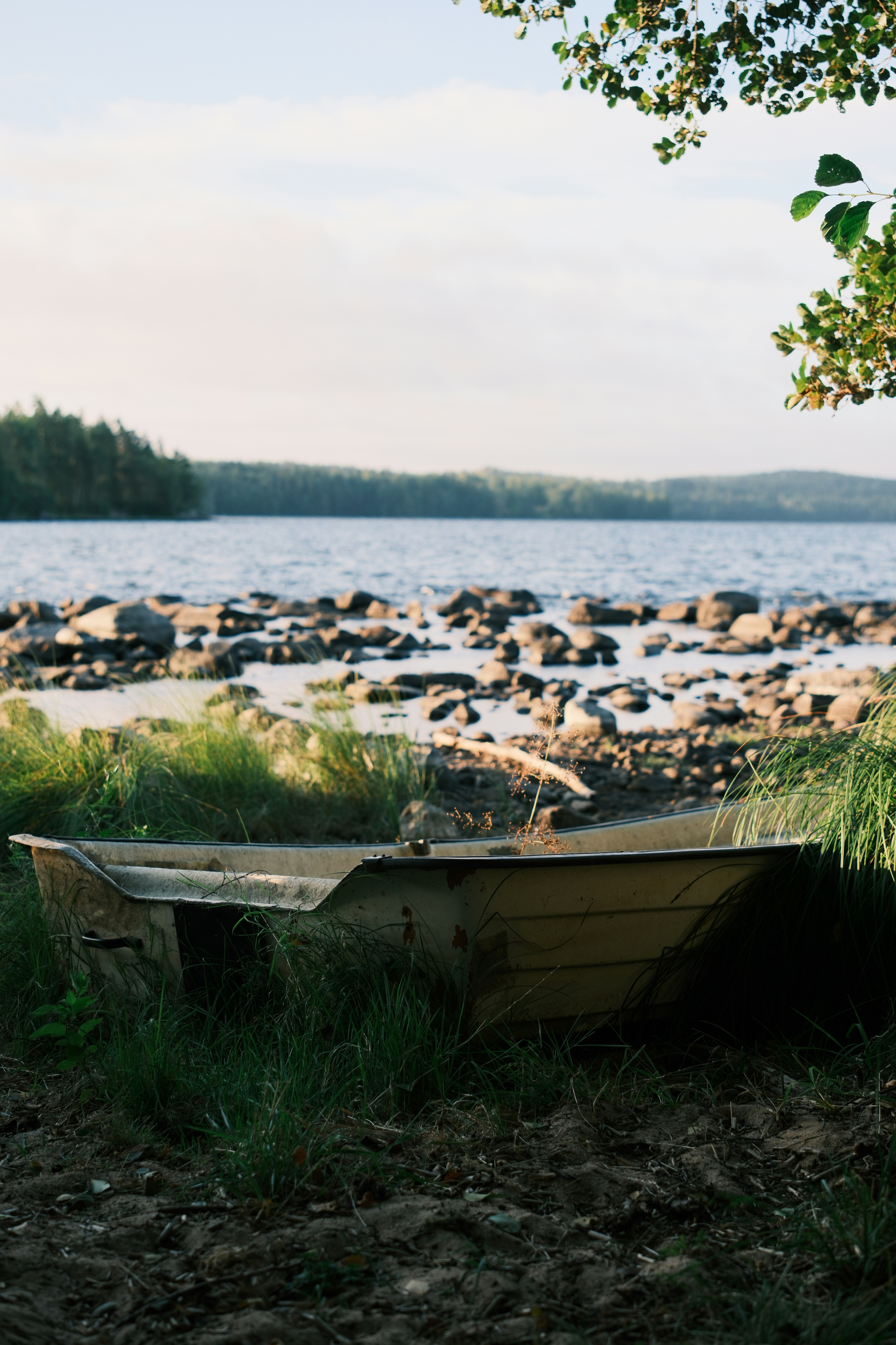 An overgrown boat at the shore. Stones and water in the background and hills in the distance.