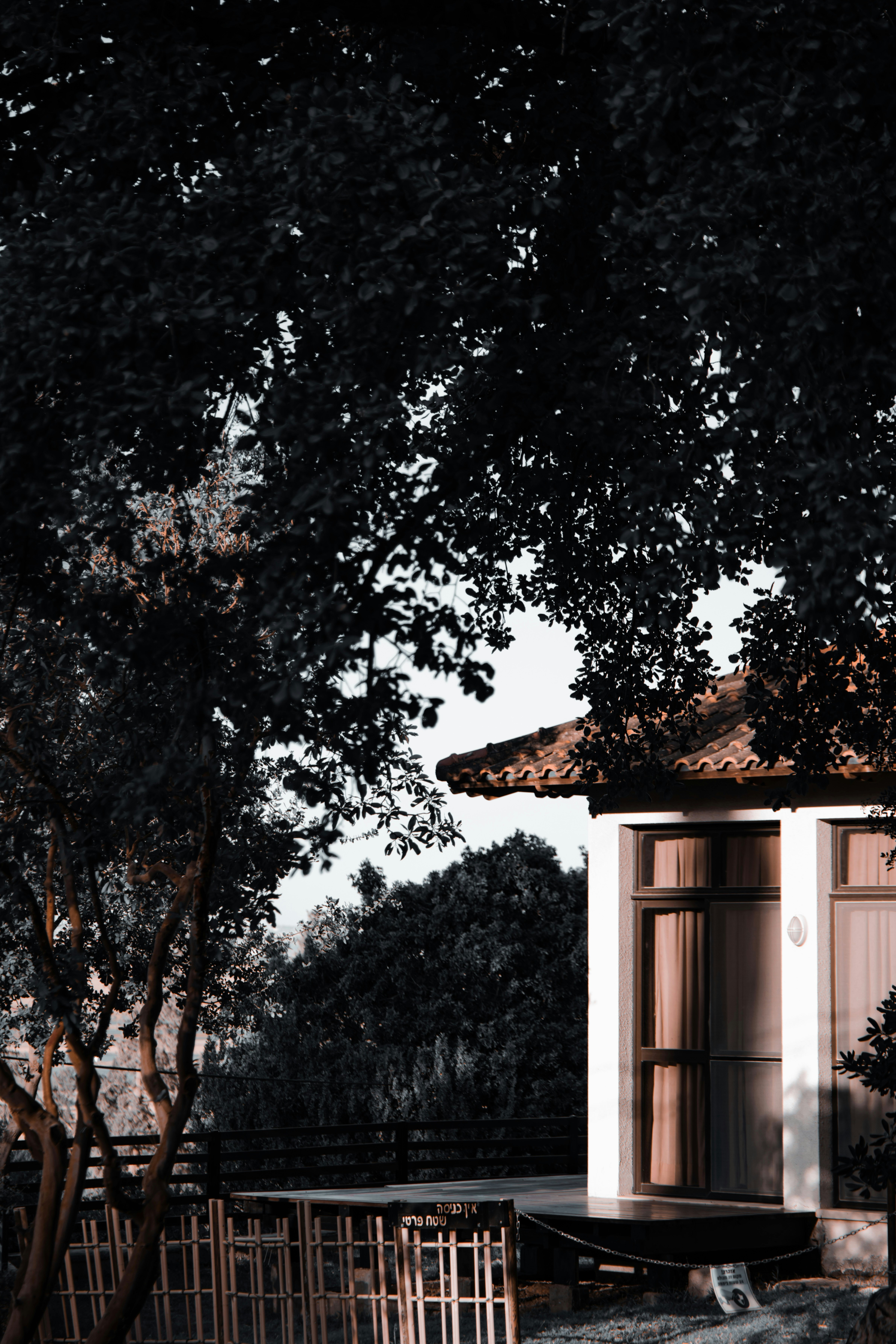 Quiet Terrace at Dusk: A Cubist Corner of Home