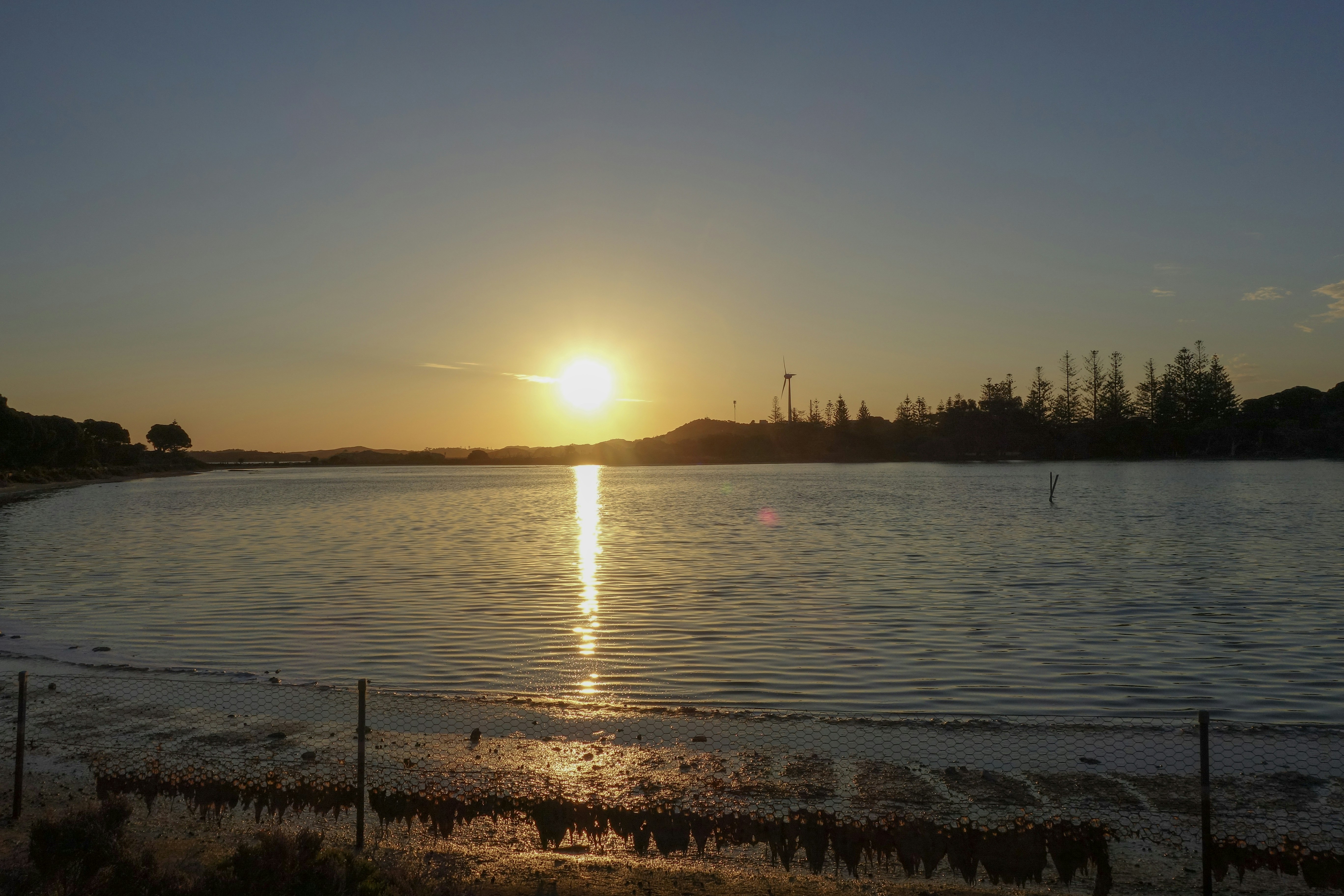 Sunlit Tide: Quiet Horizon at Dusk