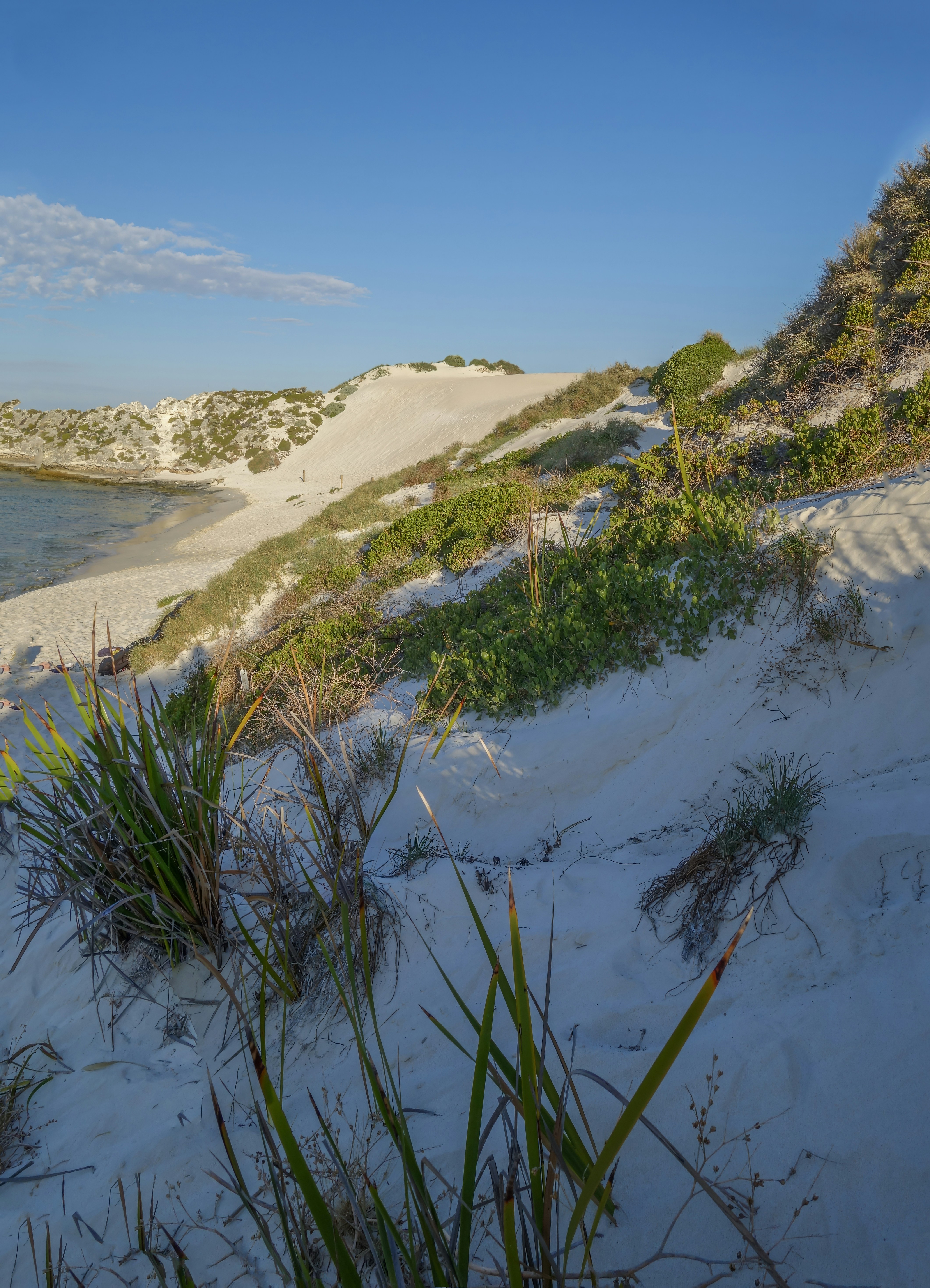 Dune Edge by Quiet Sea