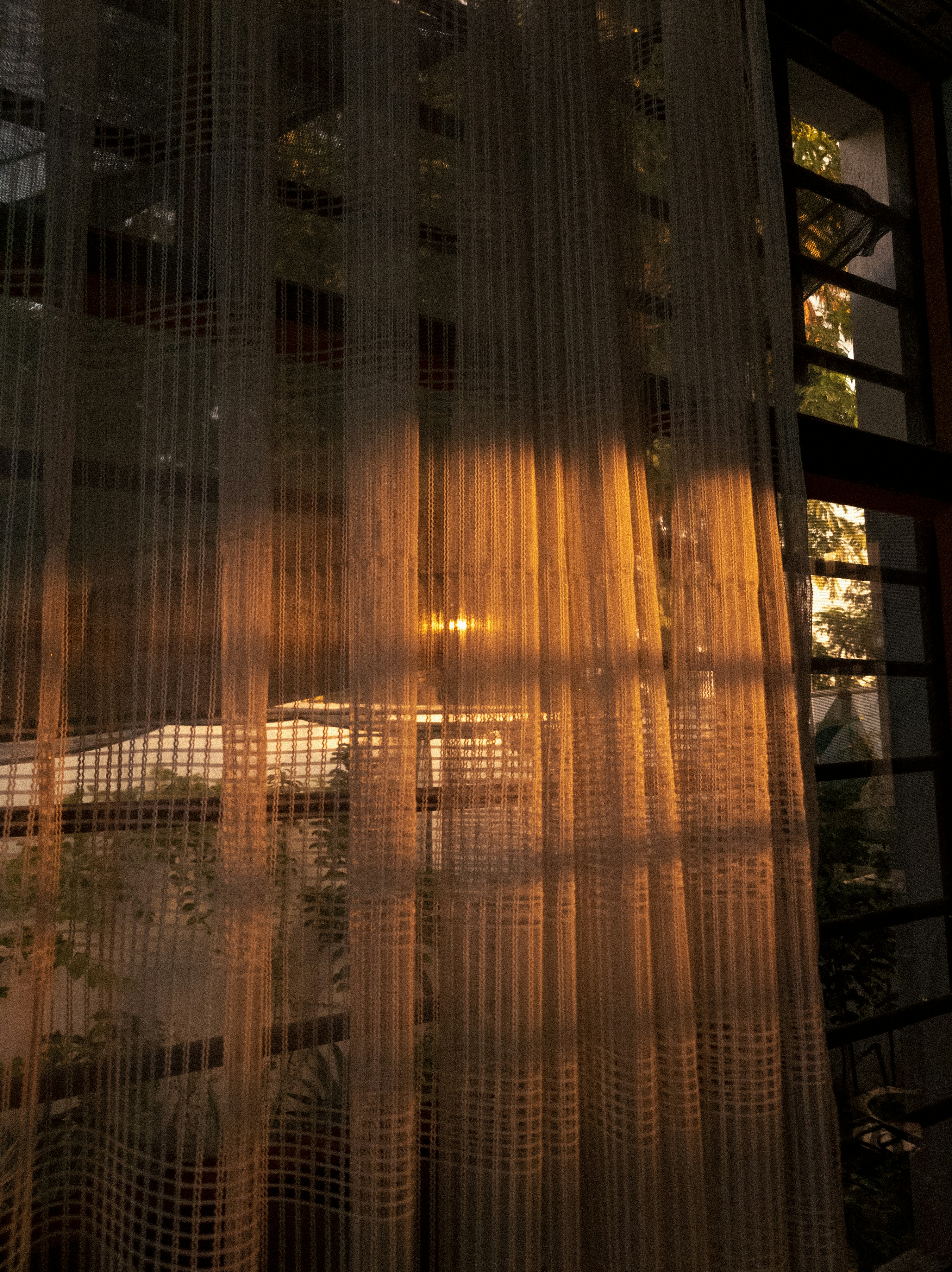 Amber Threads: Sunlit Veil Through a Lace Curtain