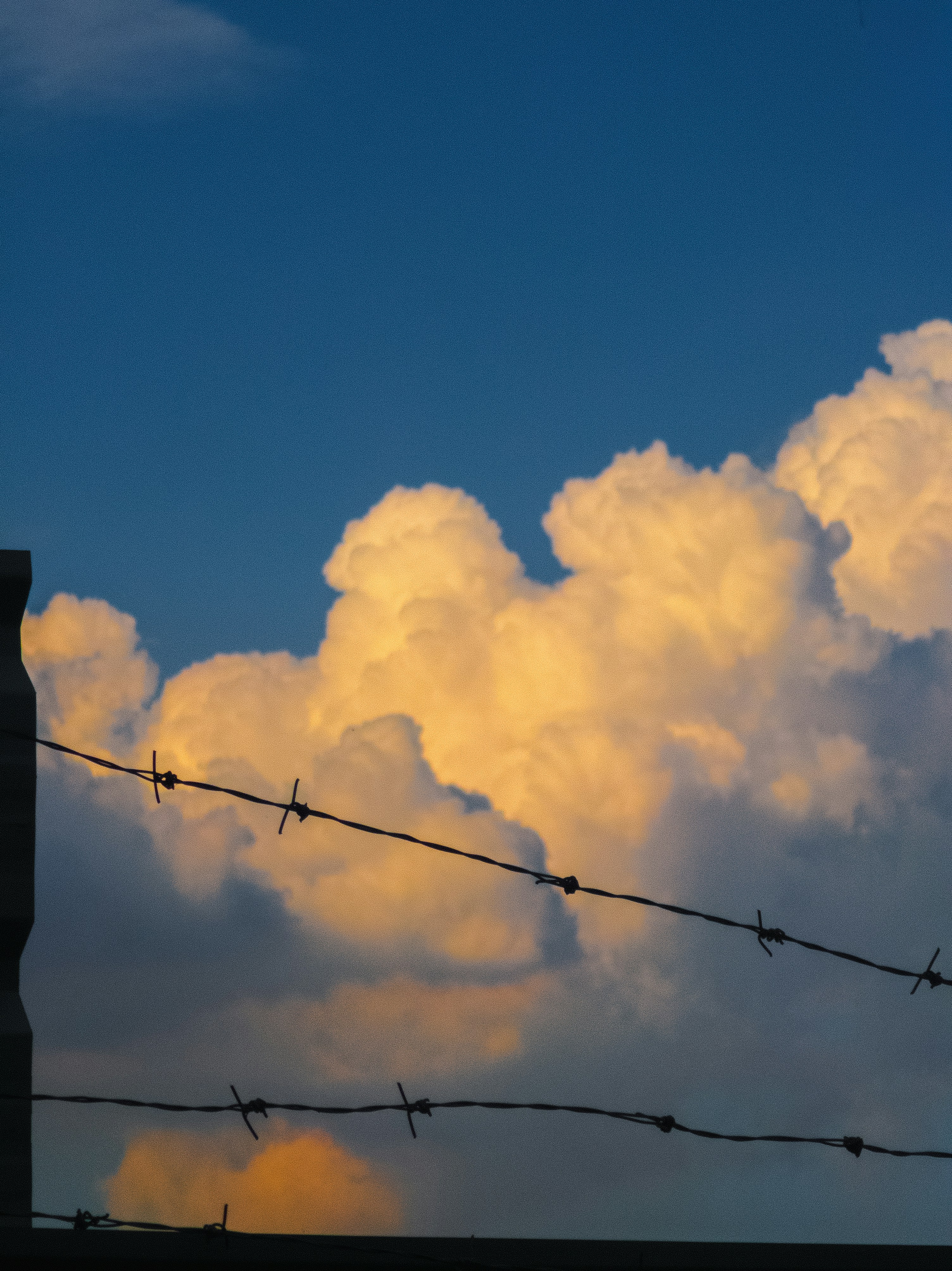 Barbwire Above the Clouds: Quiet Skyline