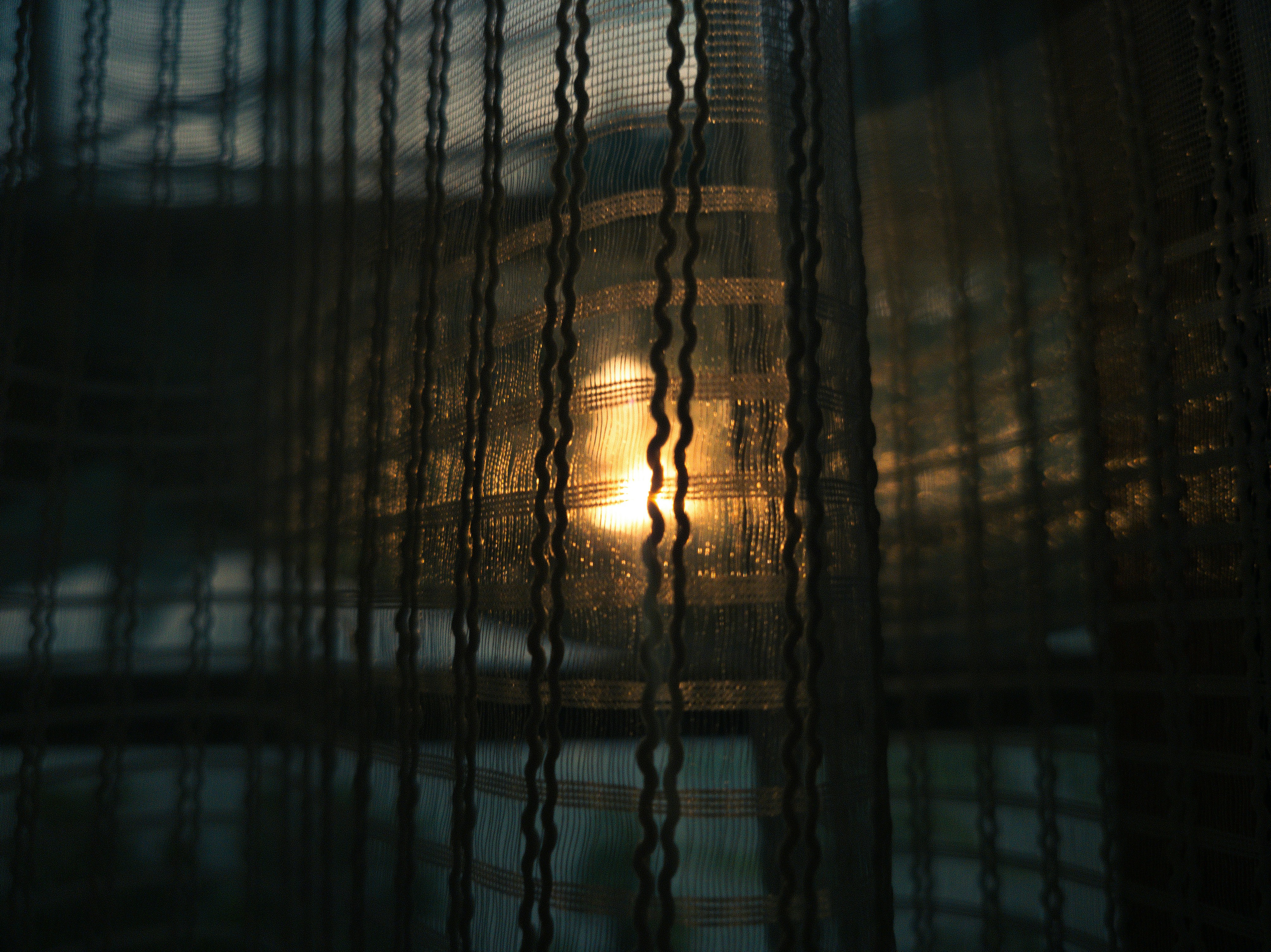 Sunlit Veil Through Strings: A Quiet Window Moment
