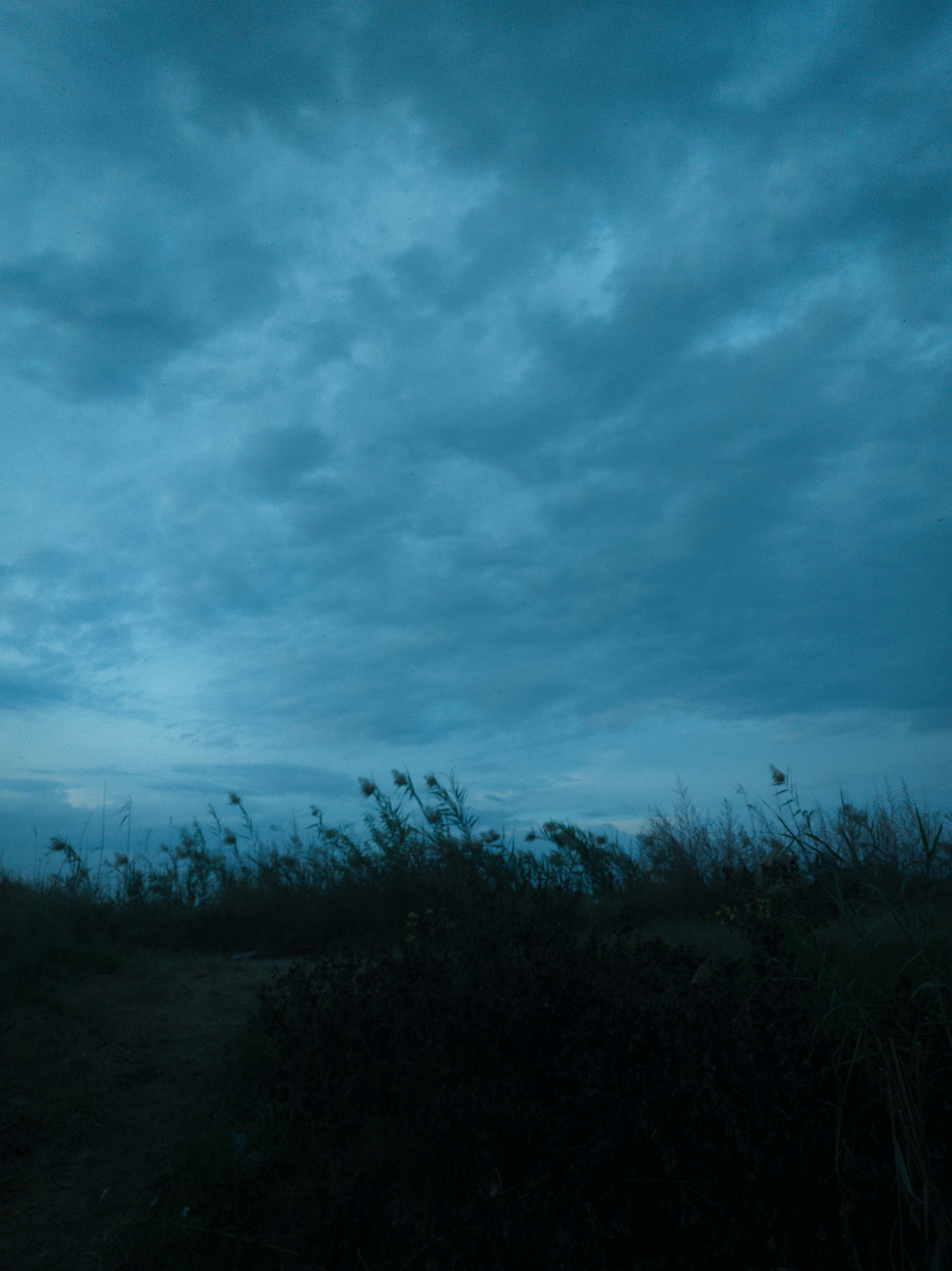 Dusk-blue field with tall grasses beneath a cloudy, expansive sky, emphasizing mood and horizon line.