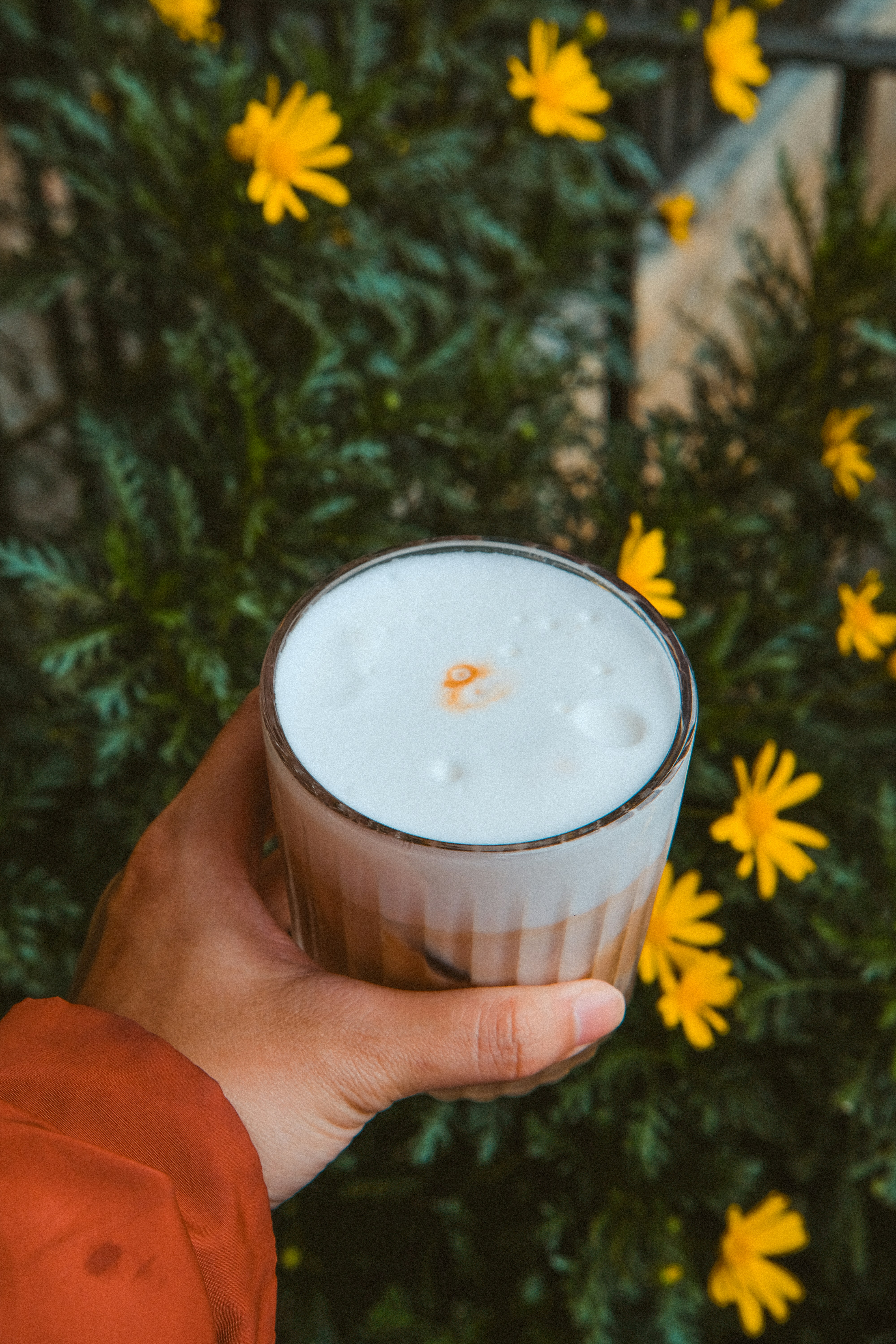 Milk Foam Portrait in a Sunny Garden Bloom