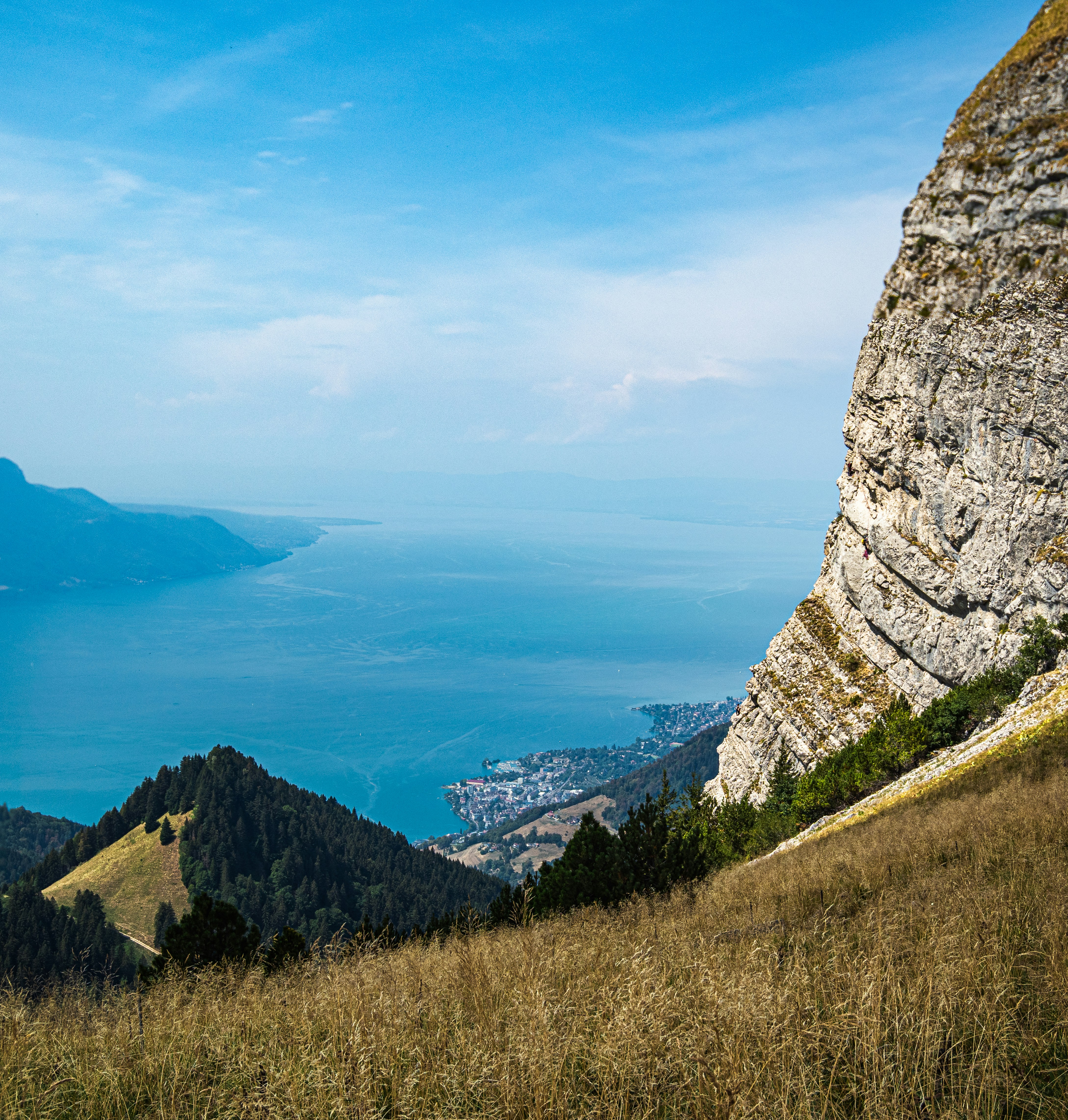 Sunlit alpine meadow edges a dramatic cliff overlooking a blue sea and distant coastline; the scene emphasizes vast landscape and layered depth without human presence. This is a natural landscape capture.