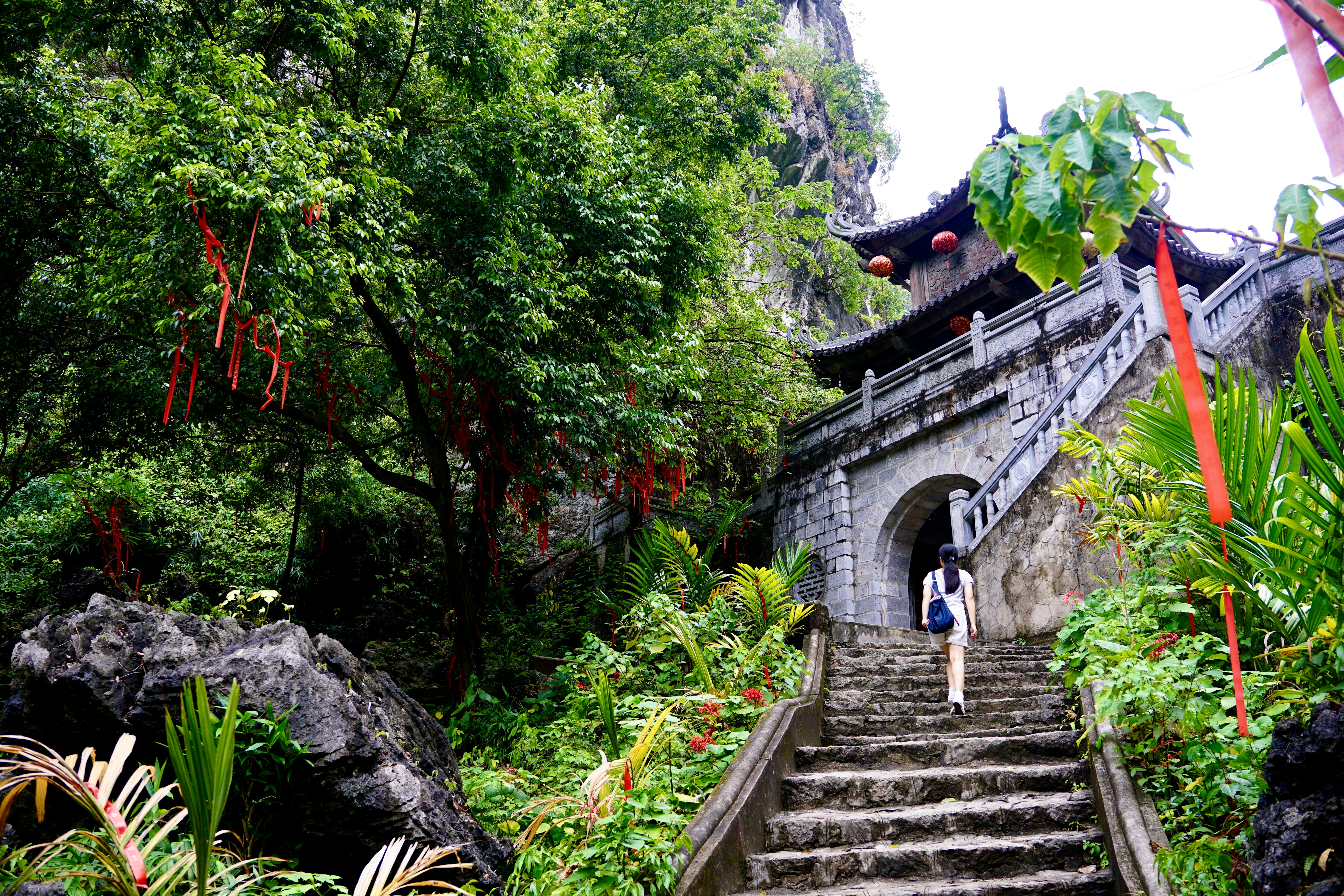 Steps to the Shrine: A Quiet Ascent Through Lush Terrace Garden
