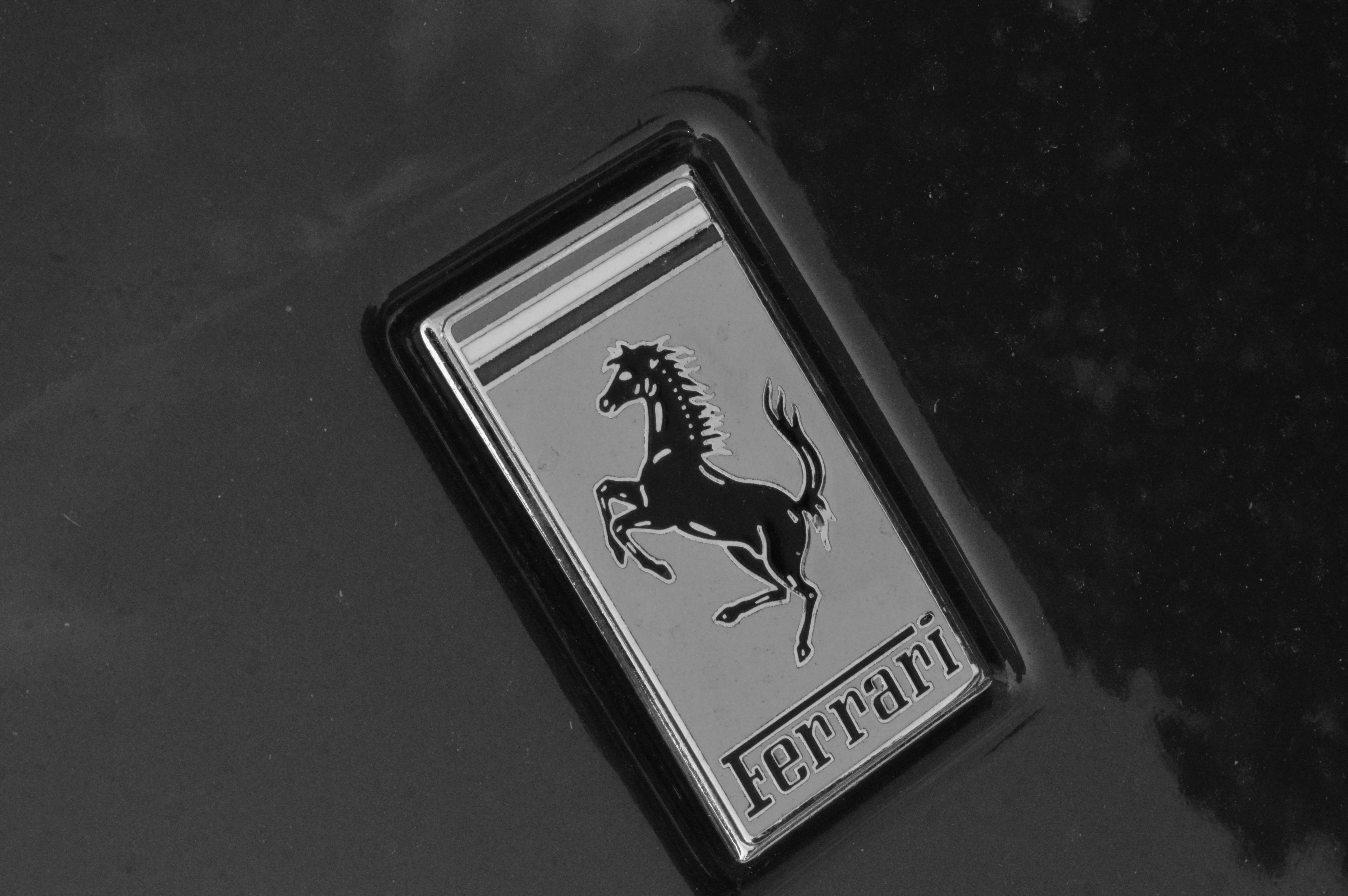 Ferrari Emblem in Quiet Focus: A Close-Up on the Prancing Badge