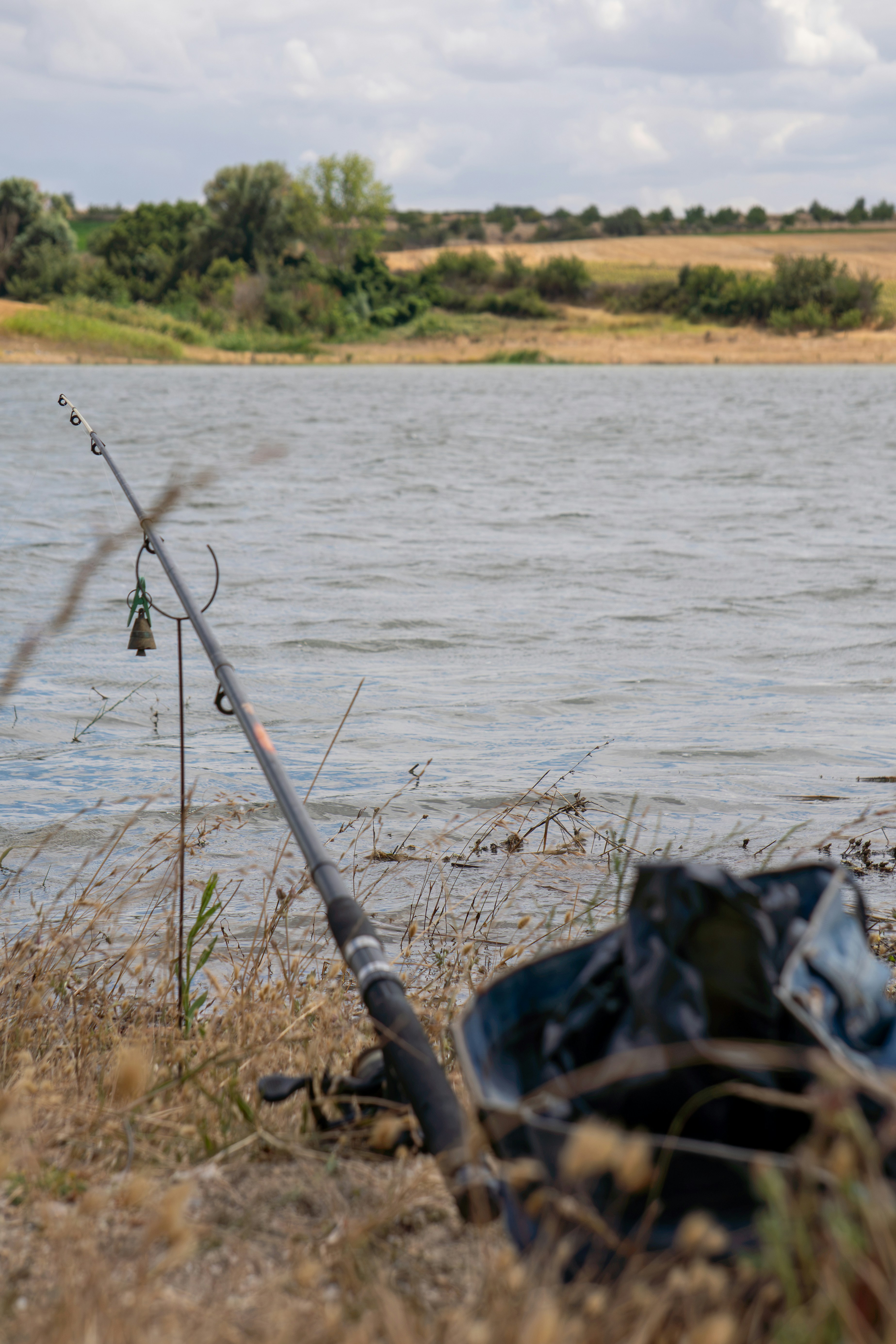Casting Line into the Quiet Riverbank