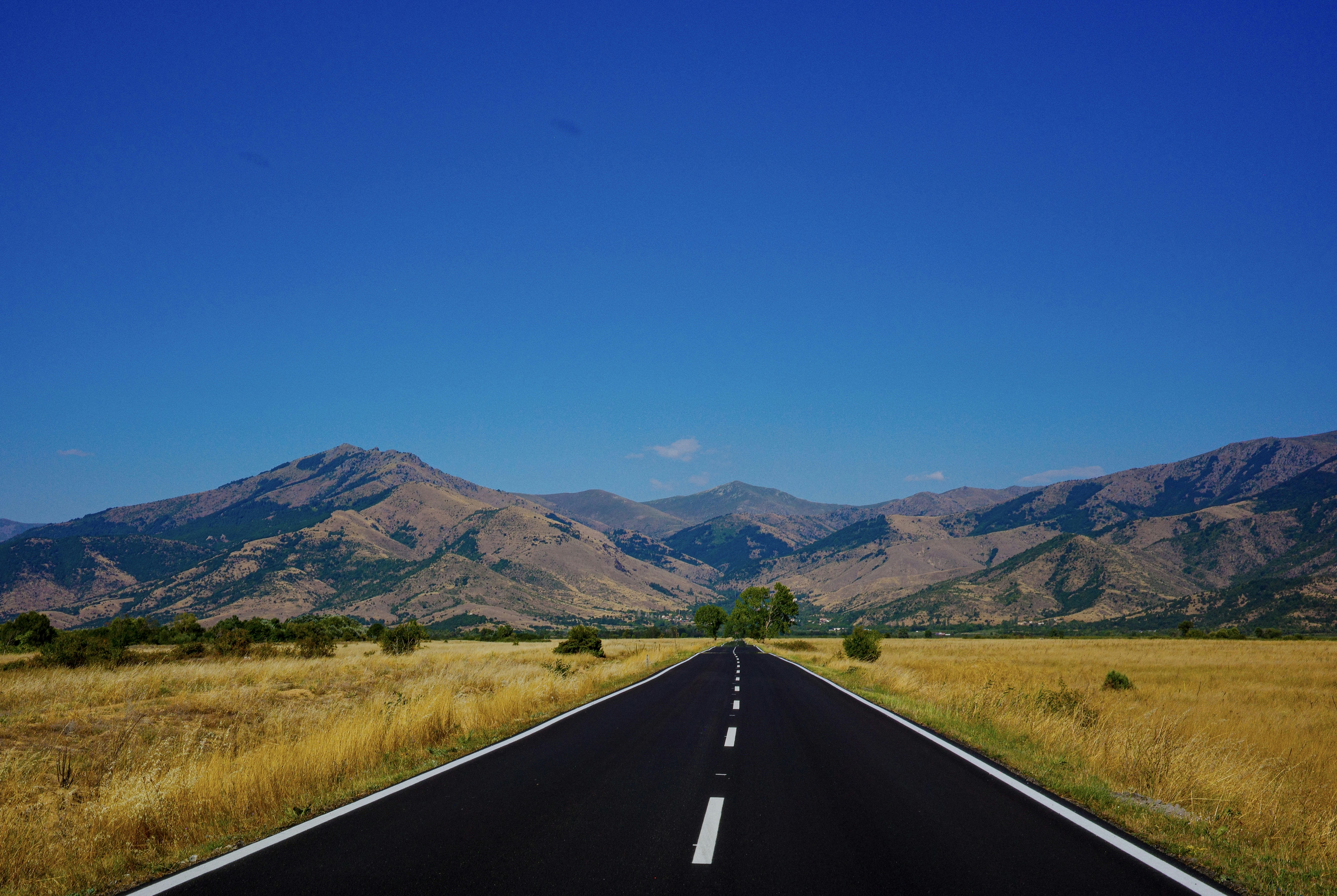 Open Road Toward Blue Horizons