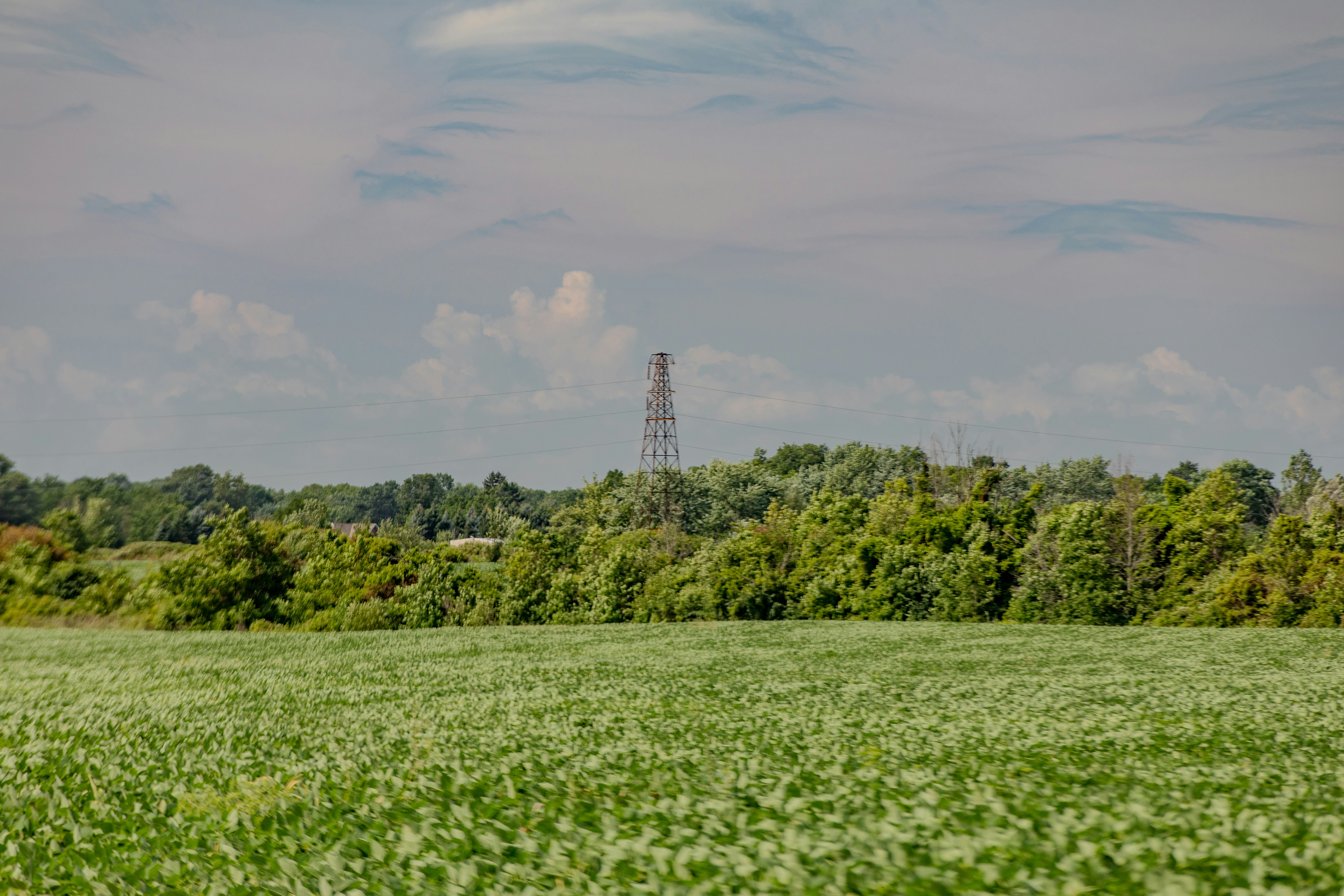Tower on the Horizon: Field of Green and Distant Structure
