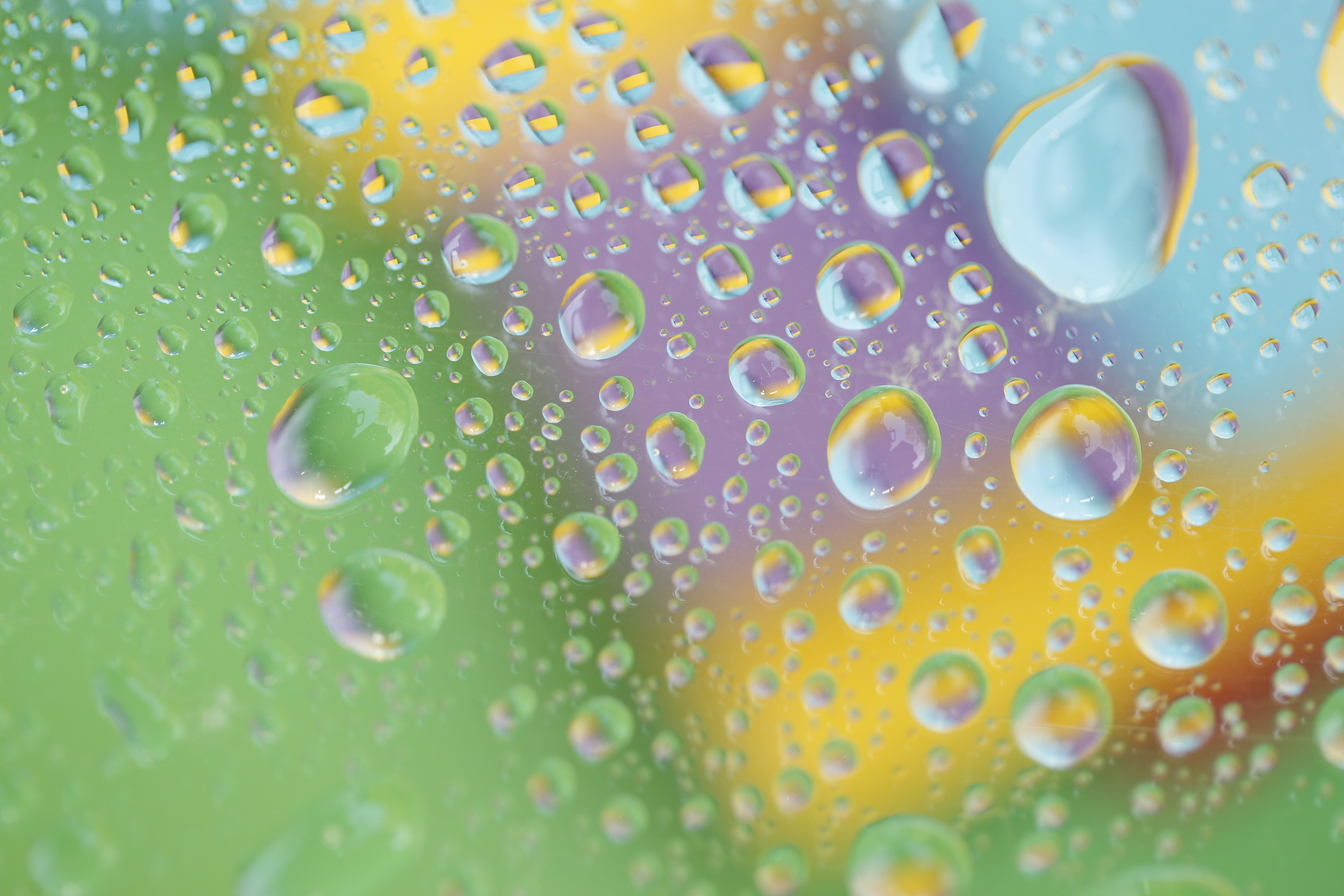 Macro Prism: Colorful Droplets On a Blur of Spring Hues