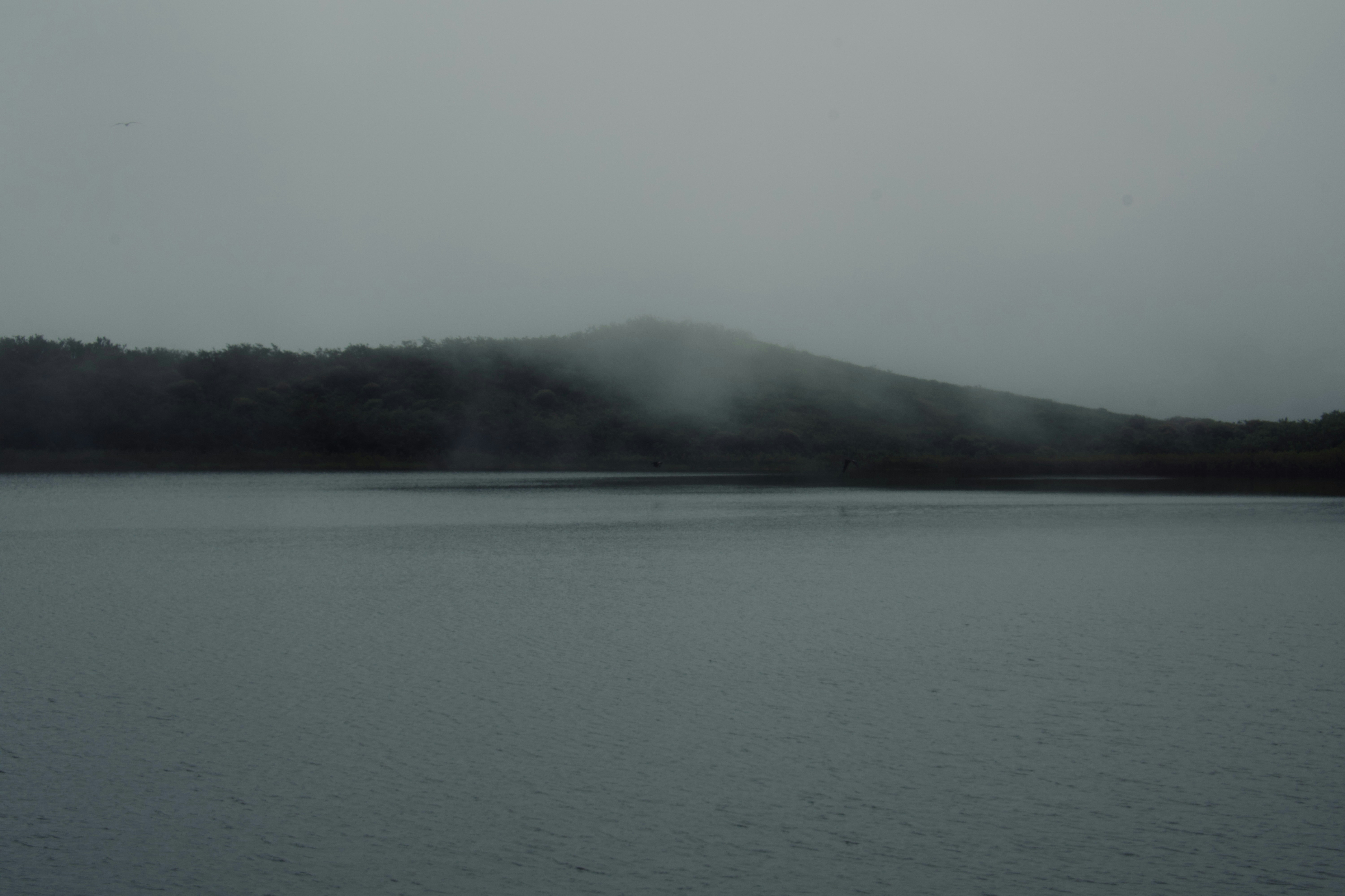Mist over a Quiet Lake Ridge