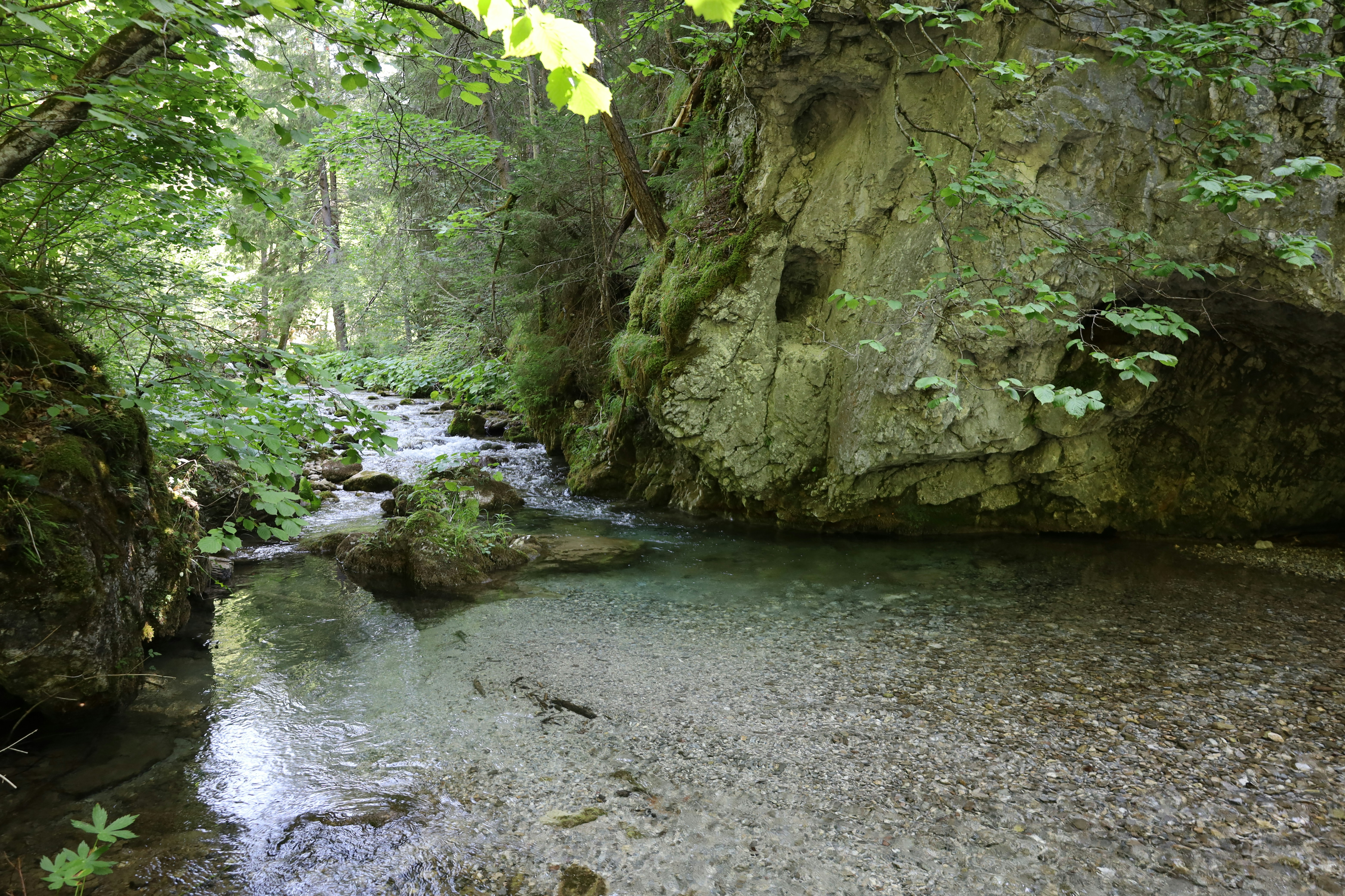 Quiet Pool by the Mossy Rock Wall