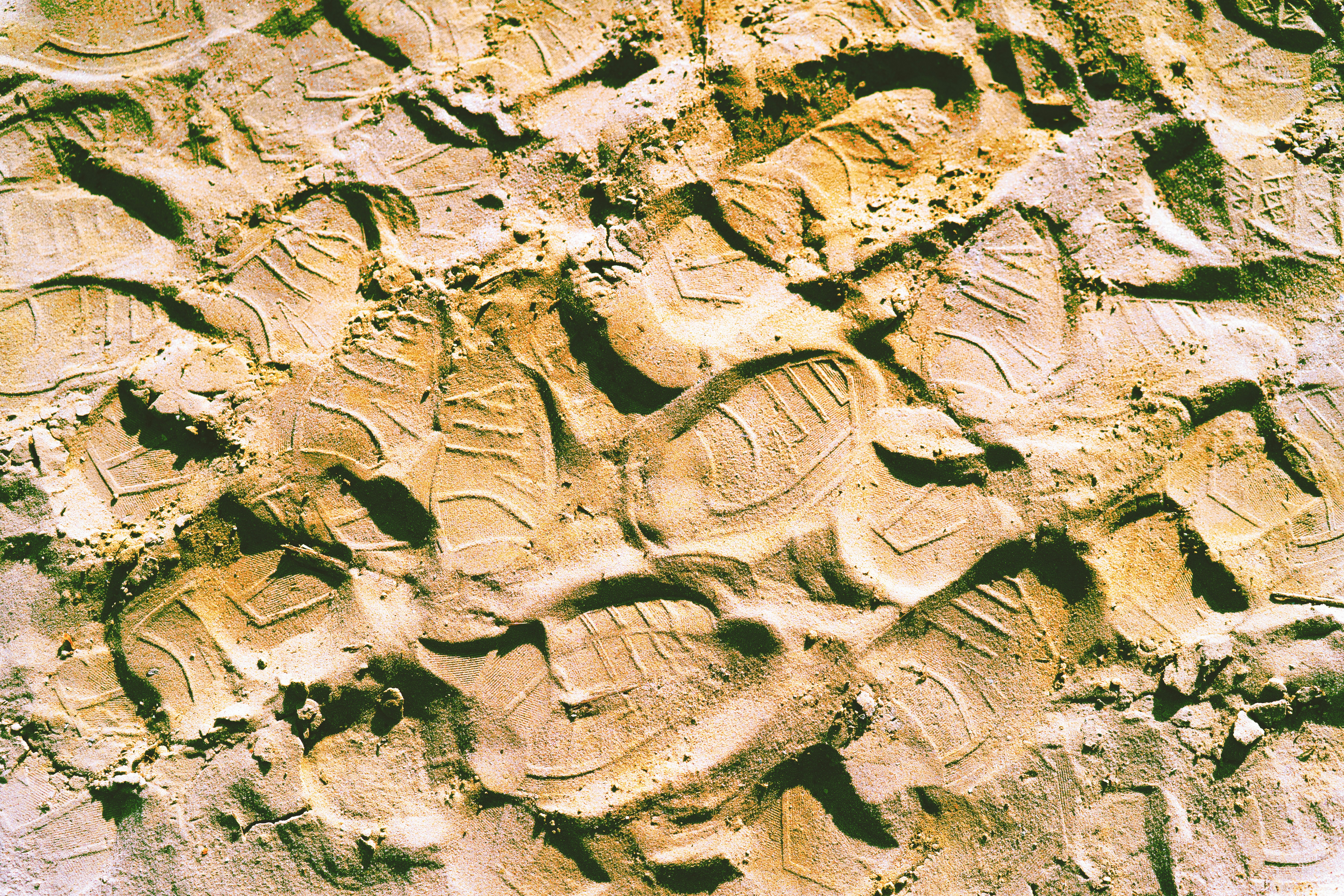 Footsteps and Rake Marks in Sunlit Sand