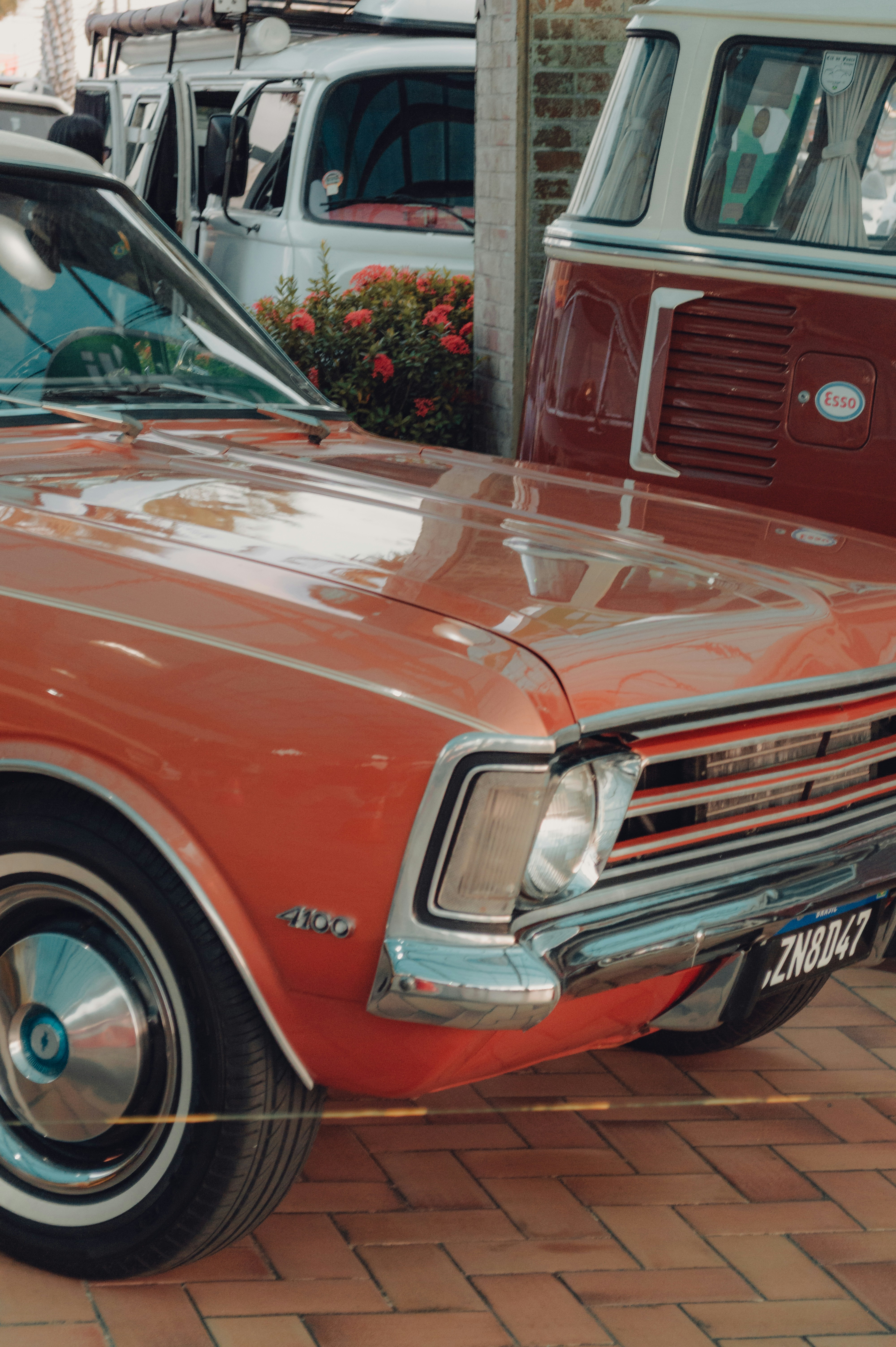 Orange Classic: A Row of Vintage Cruisers Embracing the Showground Light