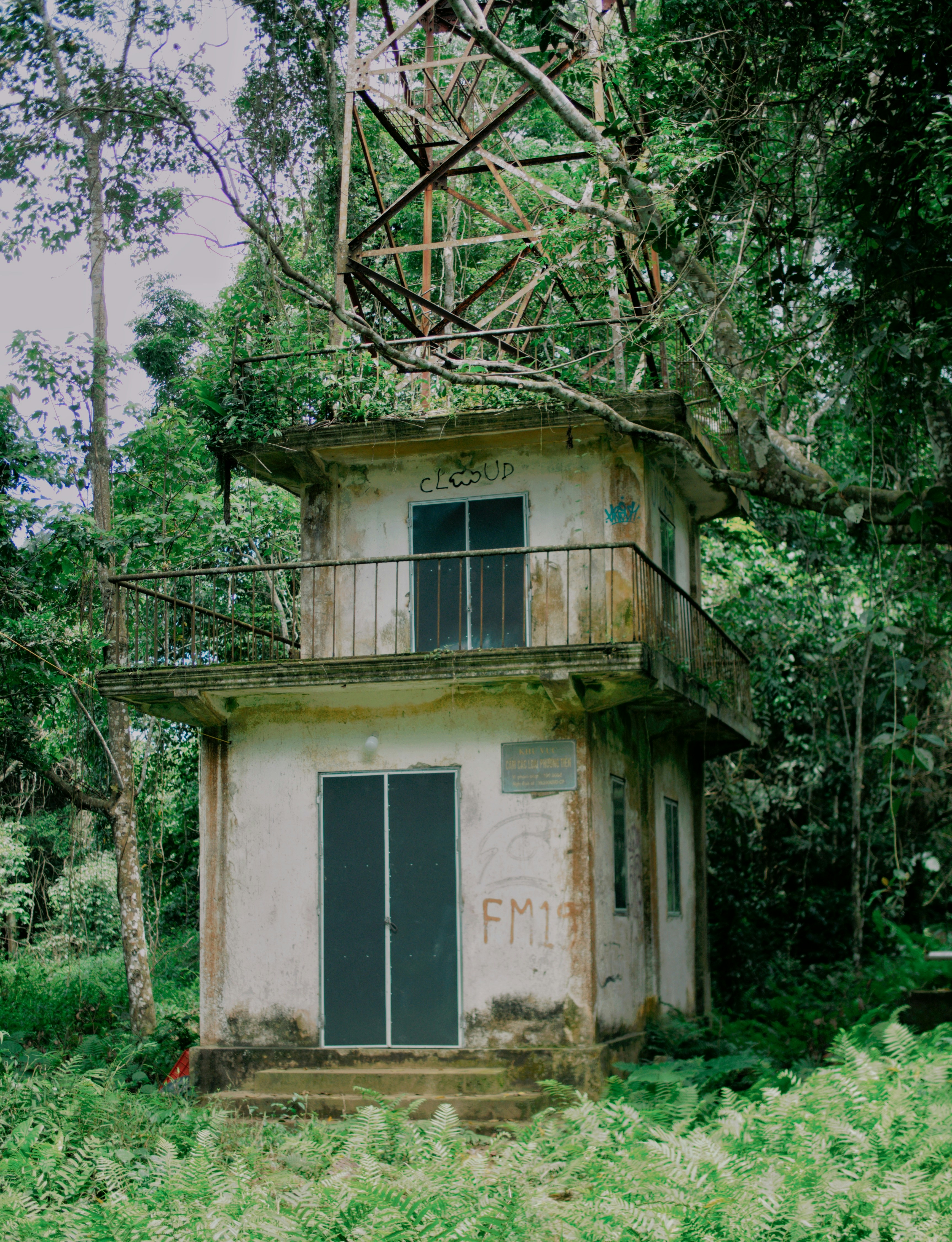 Overgrown Watchtower: A Crumbling Outpost Reclaimed by Greenery