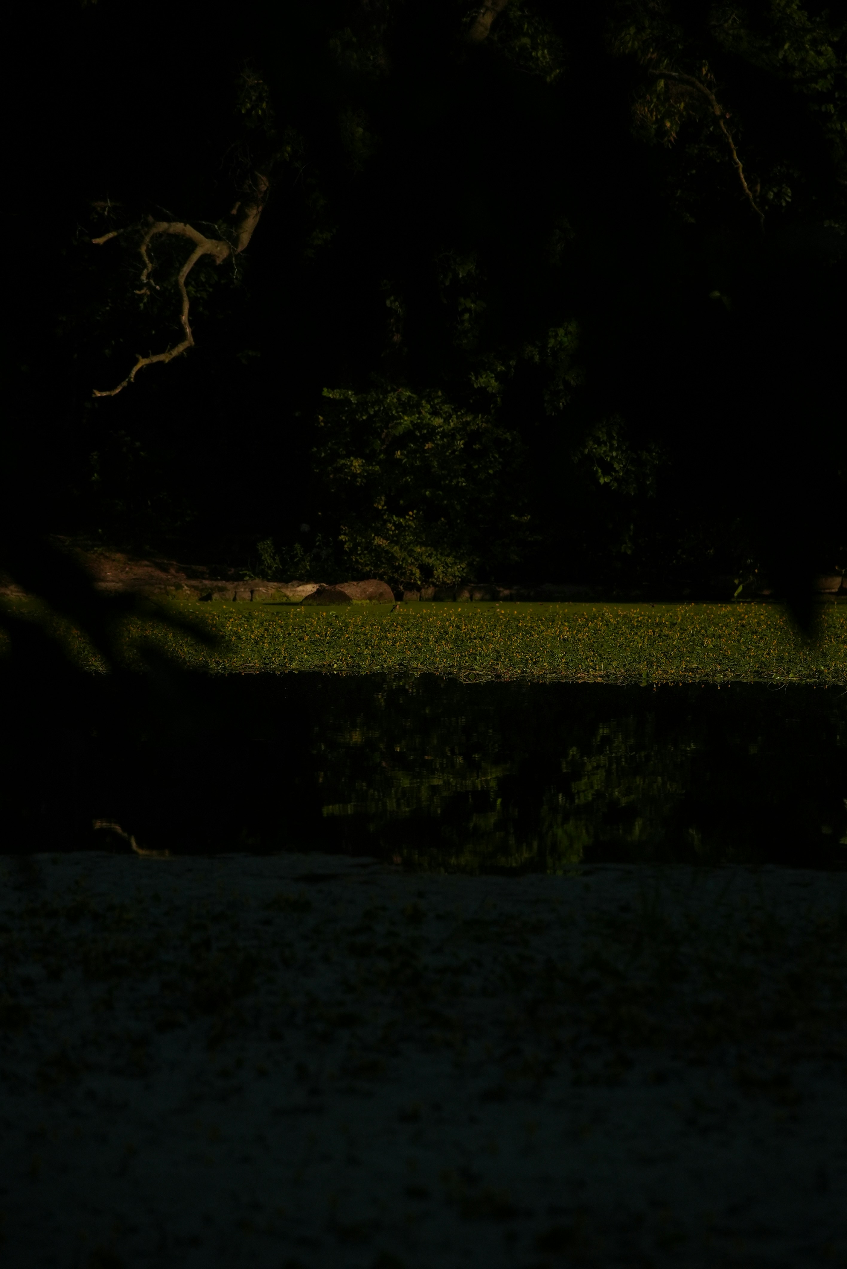 Whispering Shoreline at Dusk