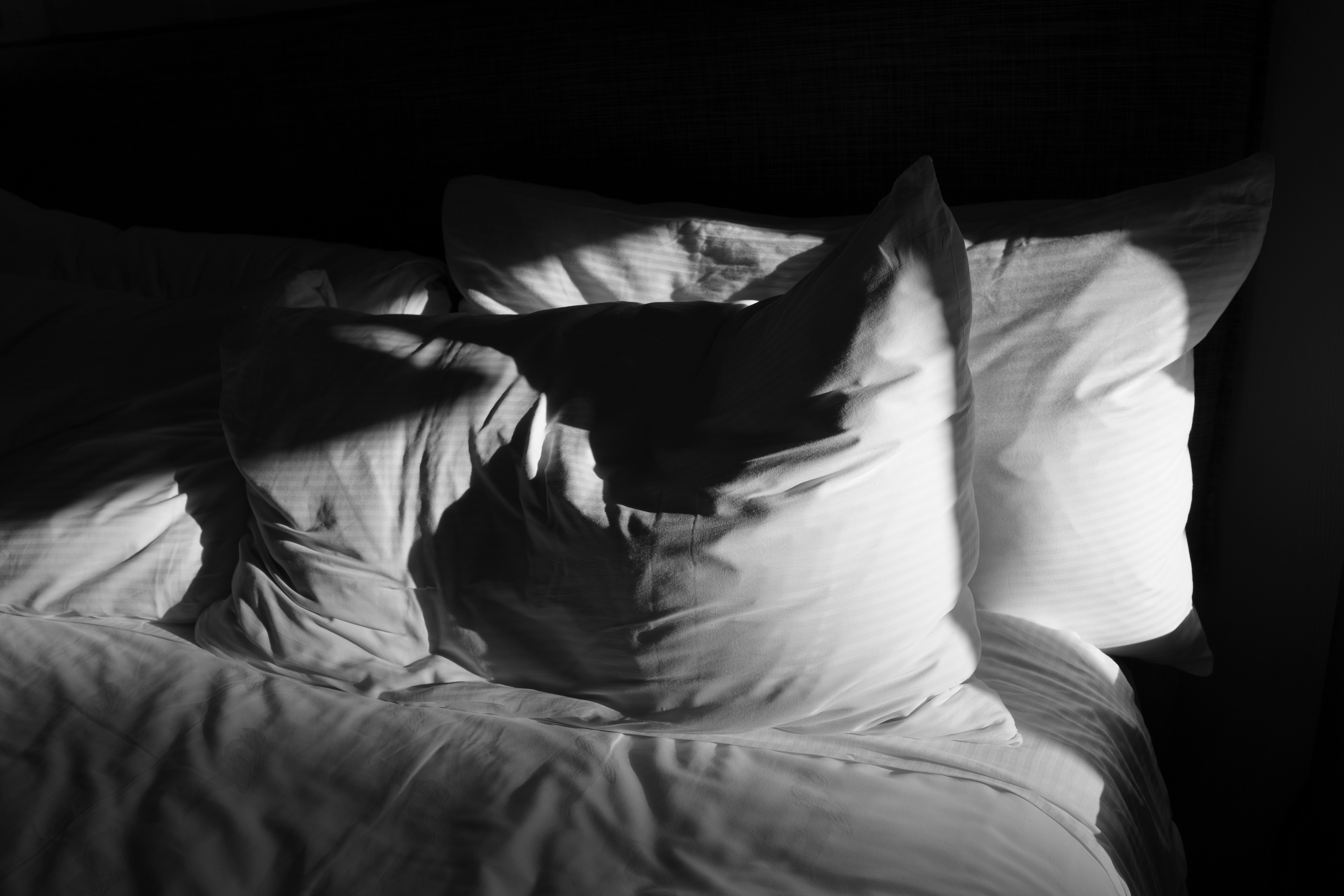 Whispered Curves: A Pillow Landscape in Mono