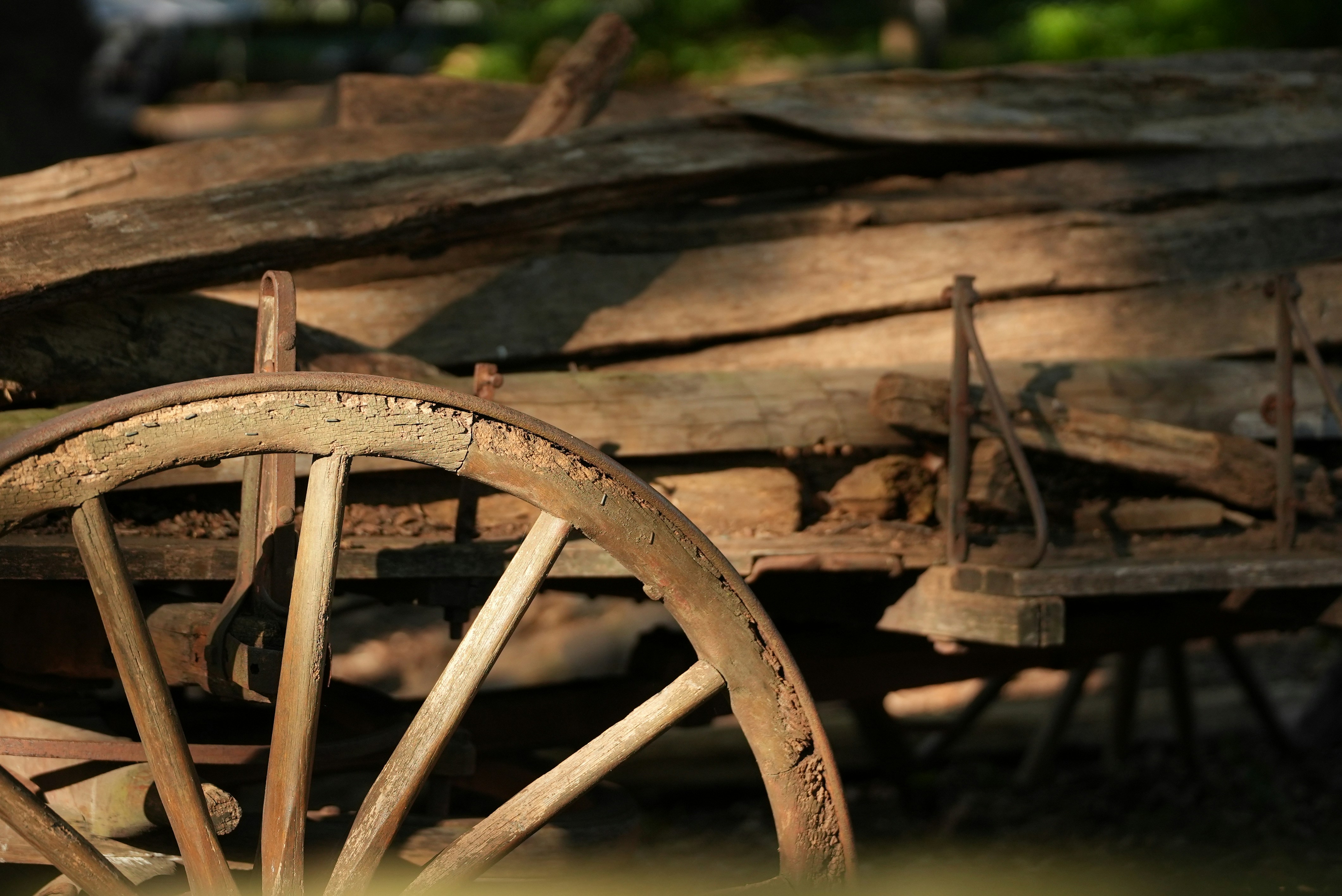 Rust and Wood Wheels: Timeworn Wagon Under a Quiet Canopy