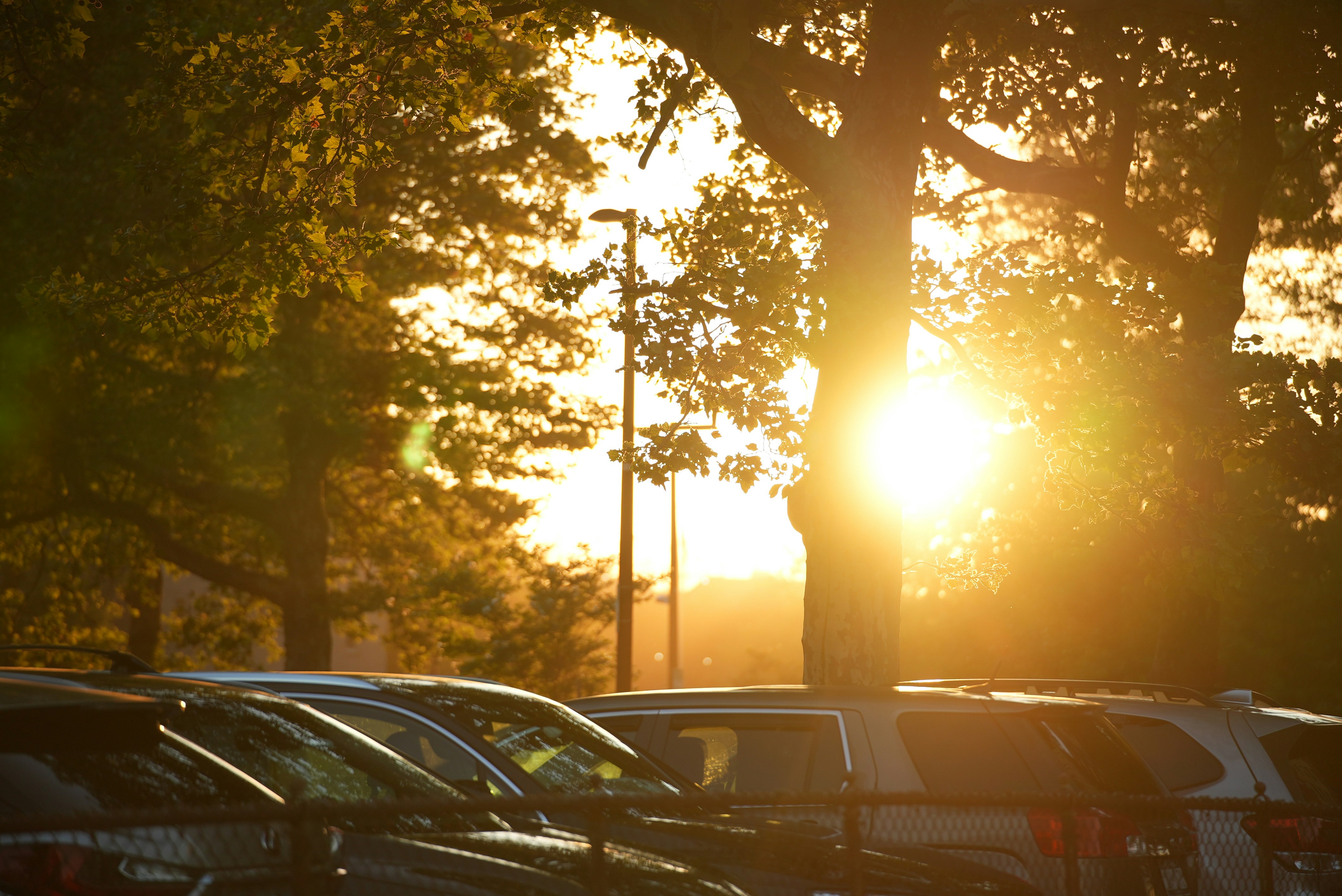 Sunburst Over the Parking Lot: A Quiet Golden Moment