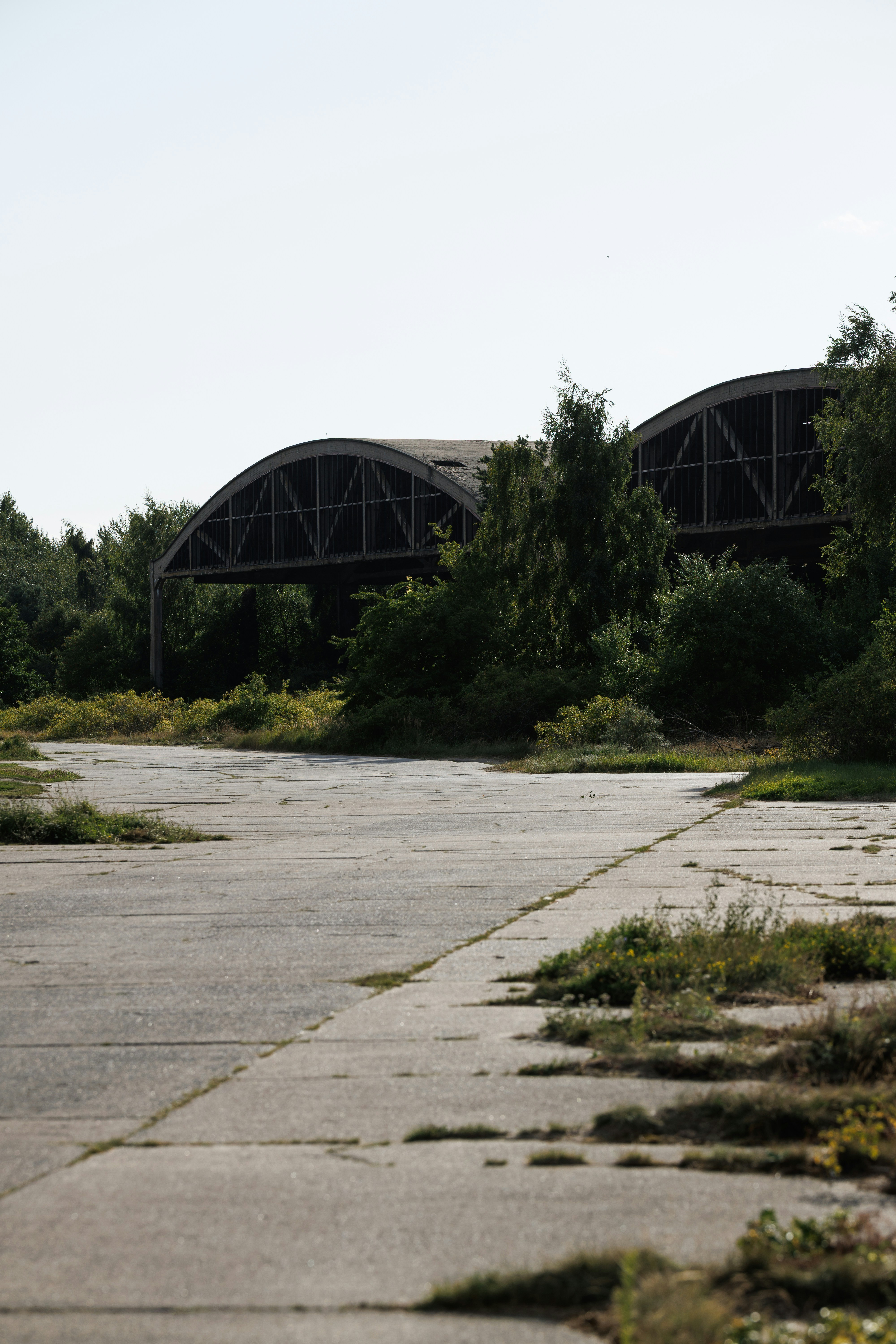 Deserted Airfield overgrown by nature