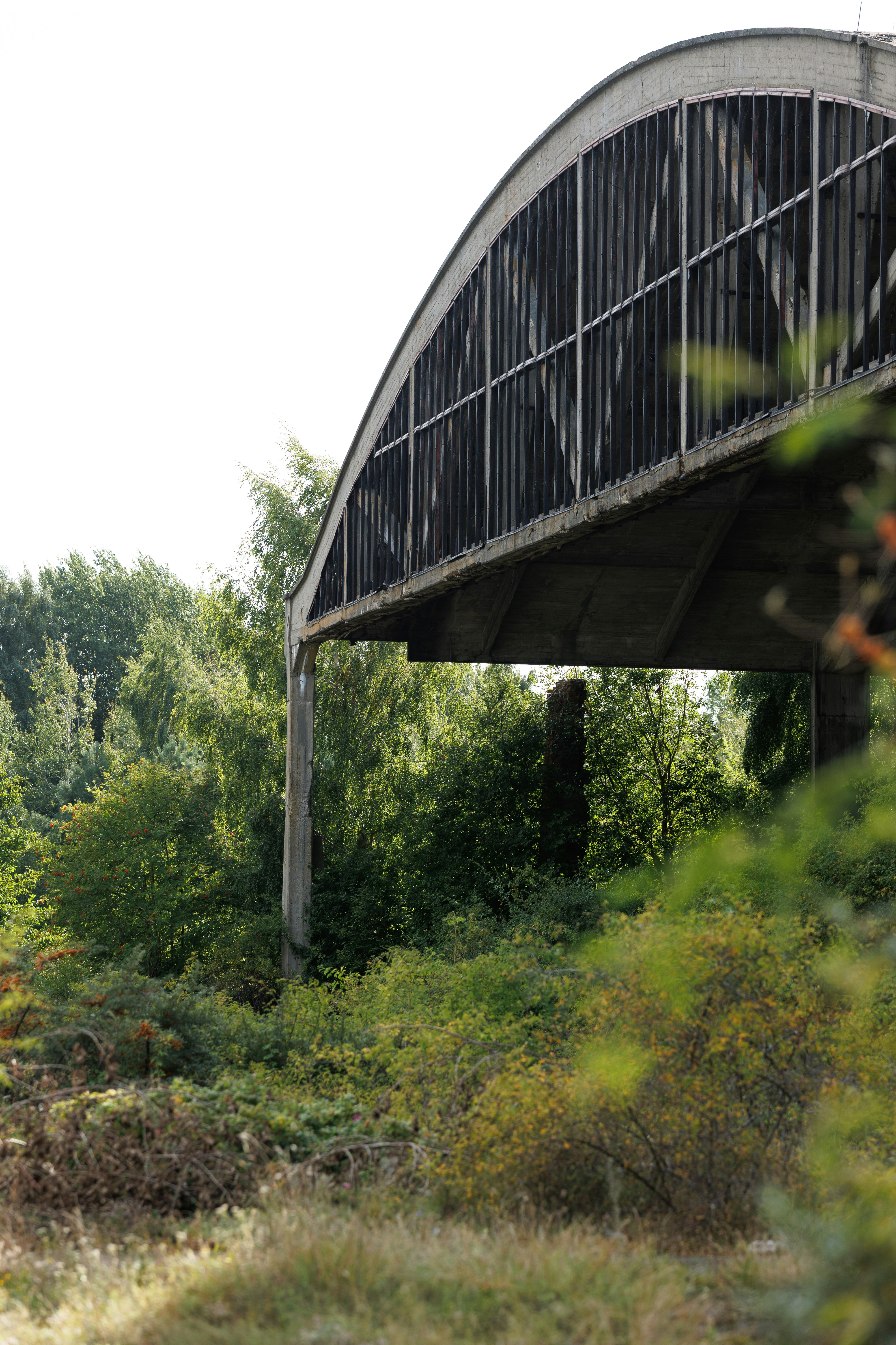 Abandoned Hangar Overlooked by Verdant Thicket