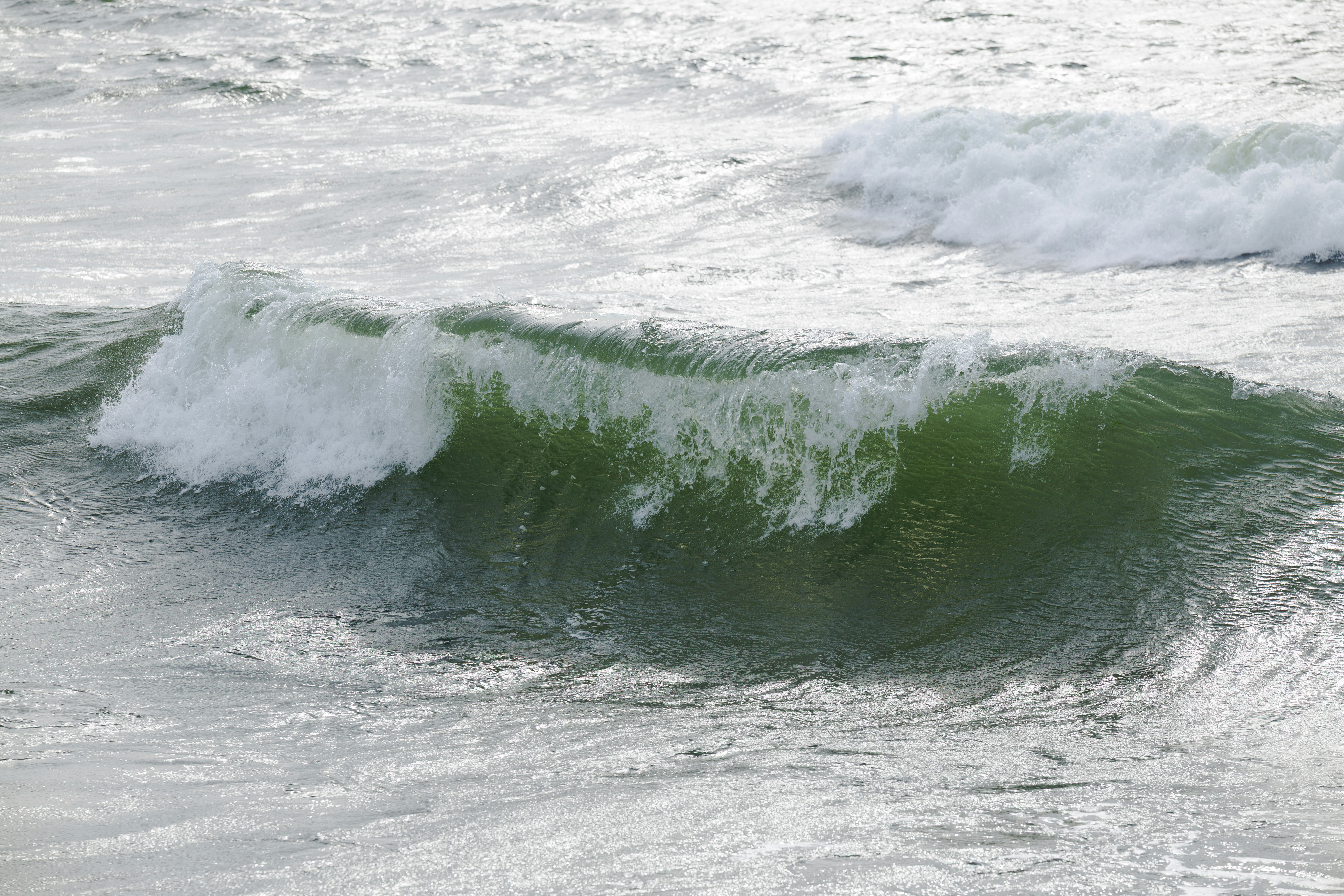 Rolling Crest: A Green Ocean Wave Near Shore