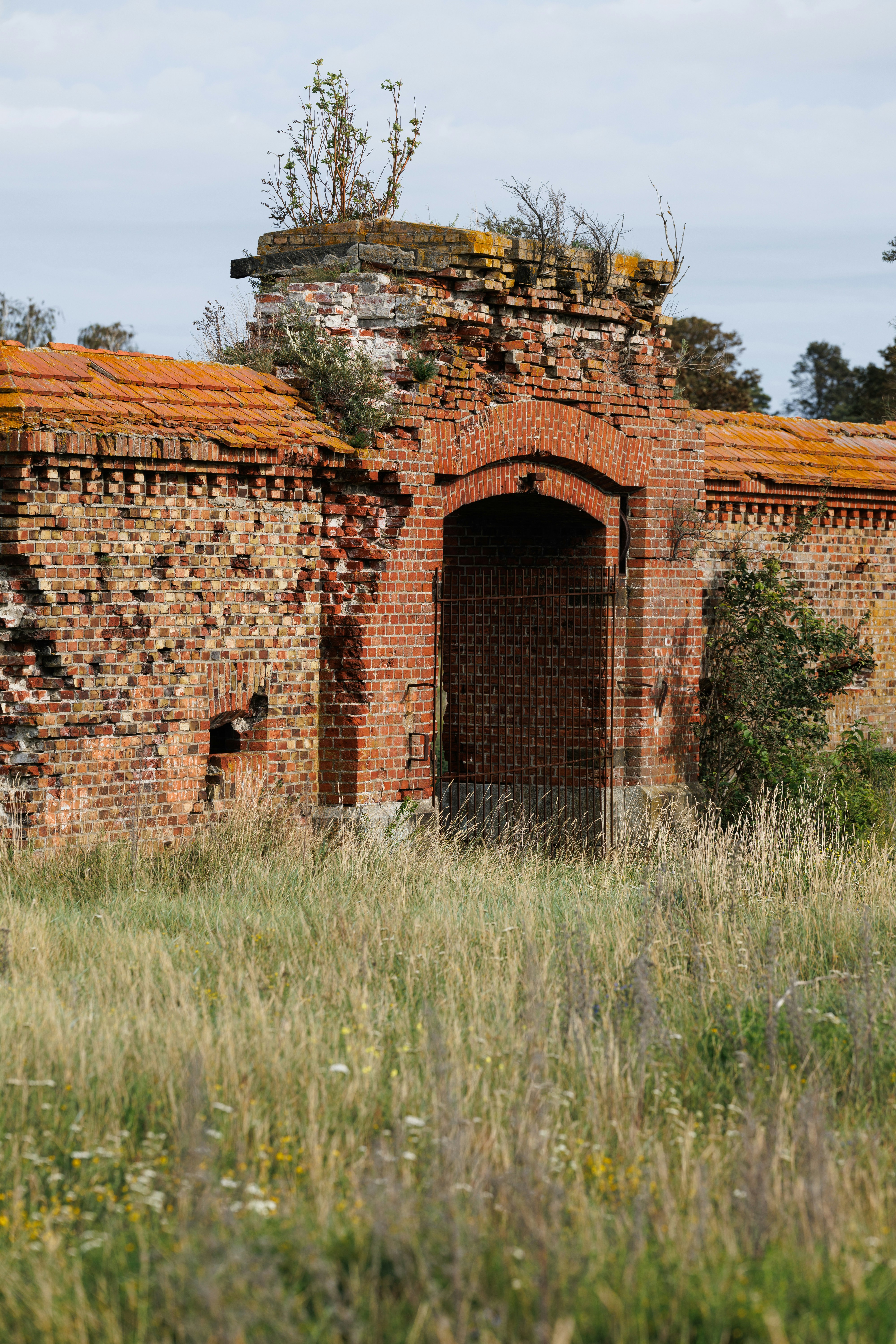 Overgrown Brick Fortress Gate Surrounded by Wild Grass