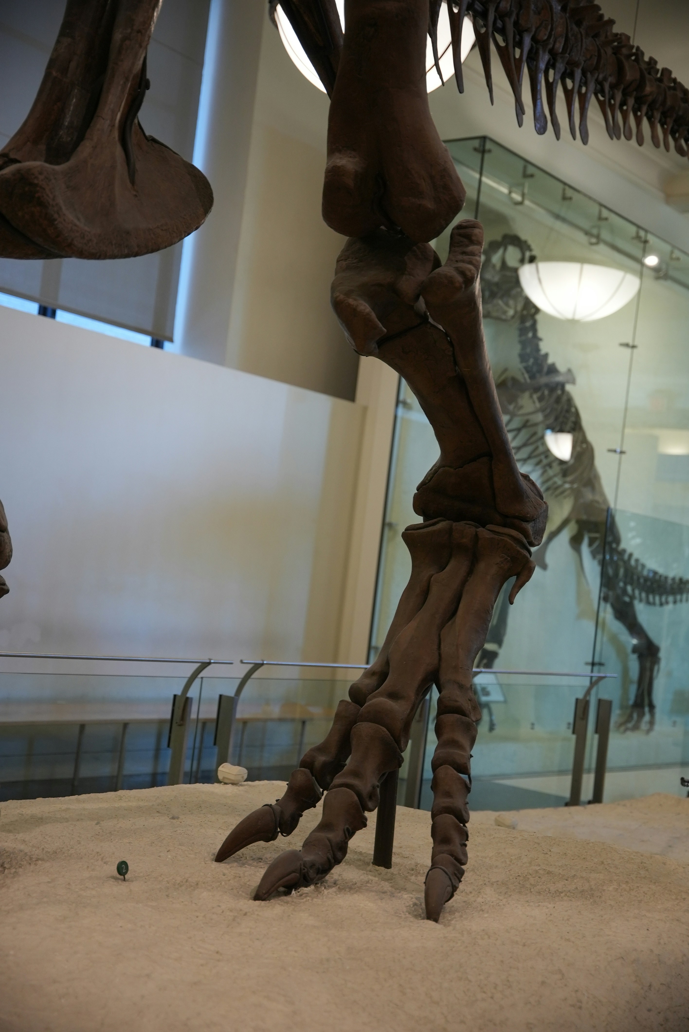 Antediluvian Grasp: A Tyrant Foot Reaches Through Sand