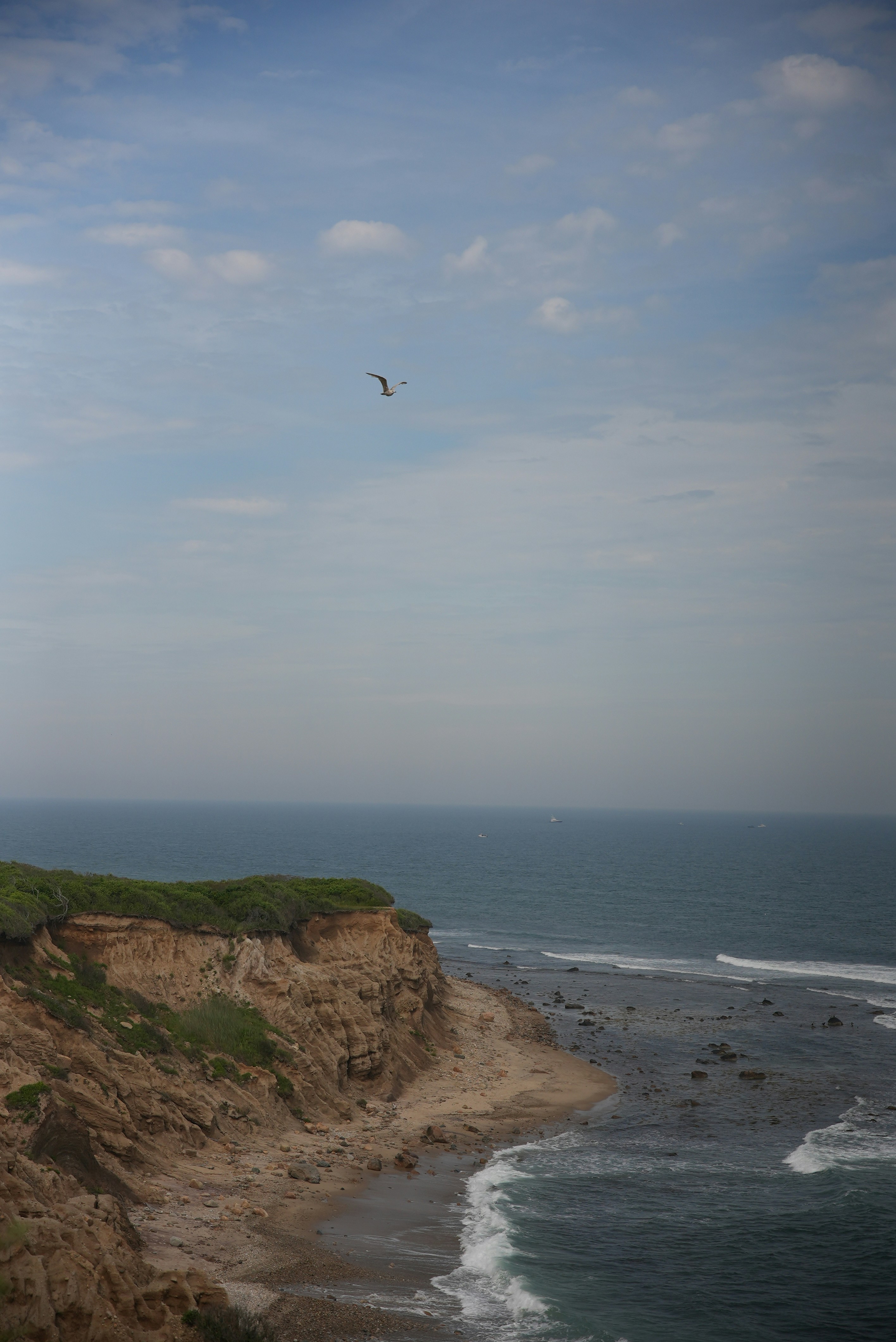 Seabreeze Overlook: A seagull glides above rugged cliffs and misty horizon