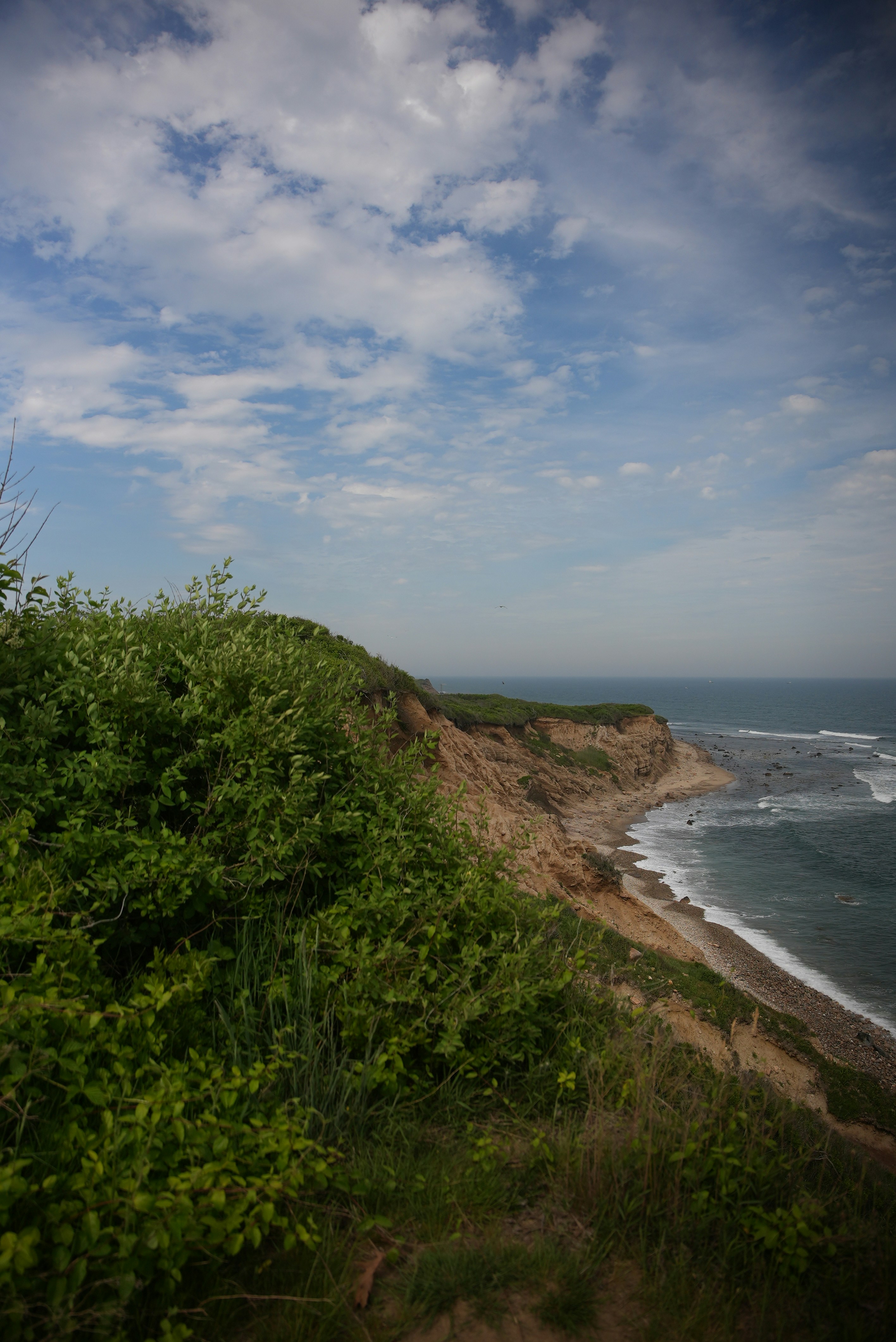 Cliffside Greenery Overlooking a Quiet Sea