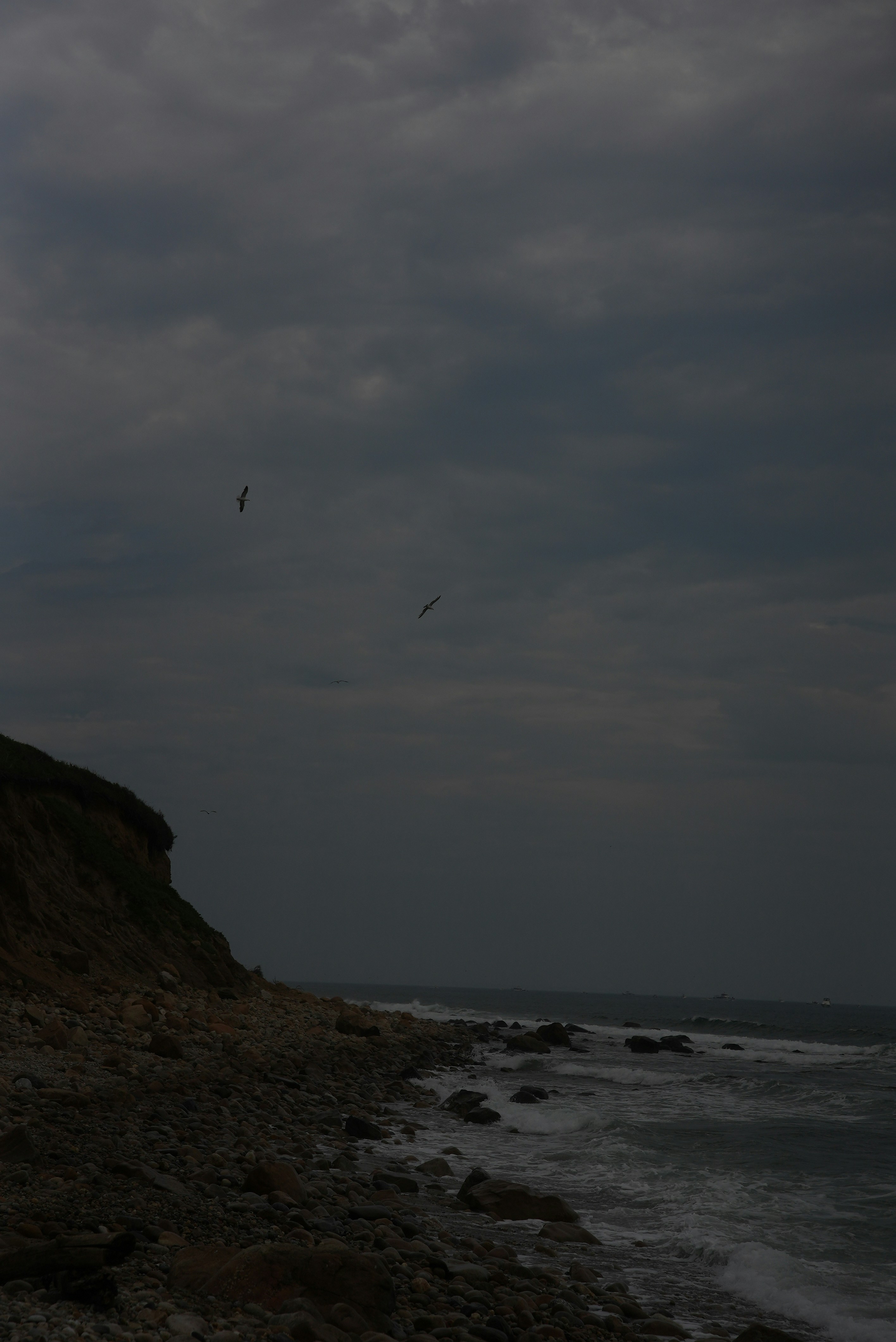Seabirds Over the Pebbled Cliff: Evening by the Quiet Shore
