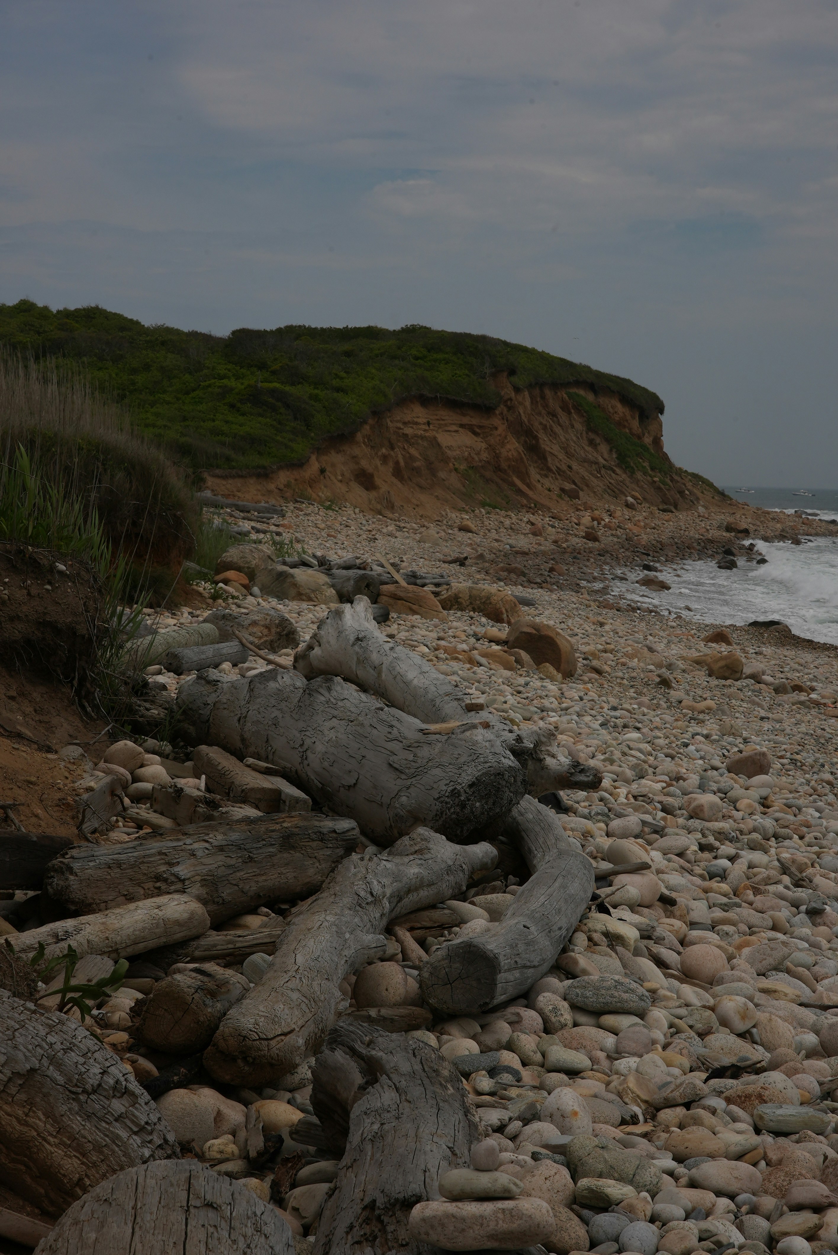Driftwood Cathedral: A Pebble Beach Beneath a Cliffline