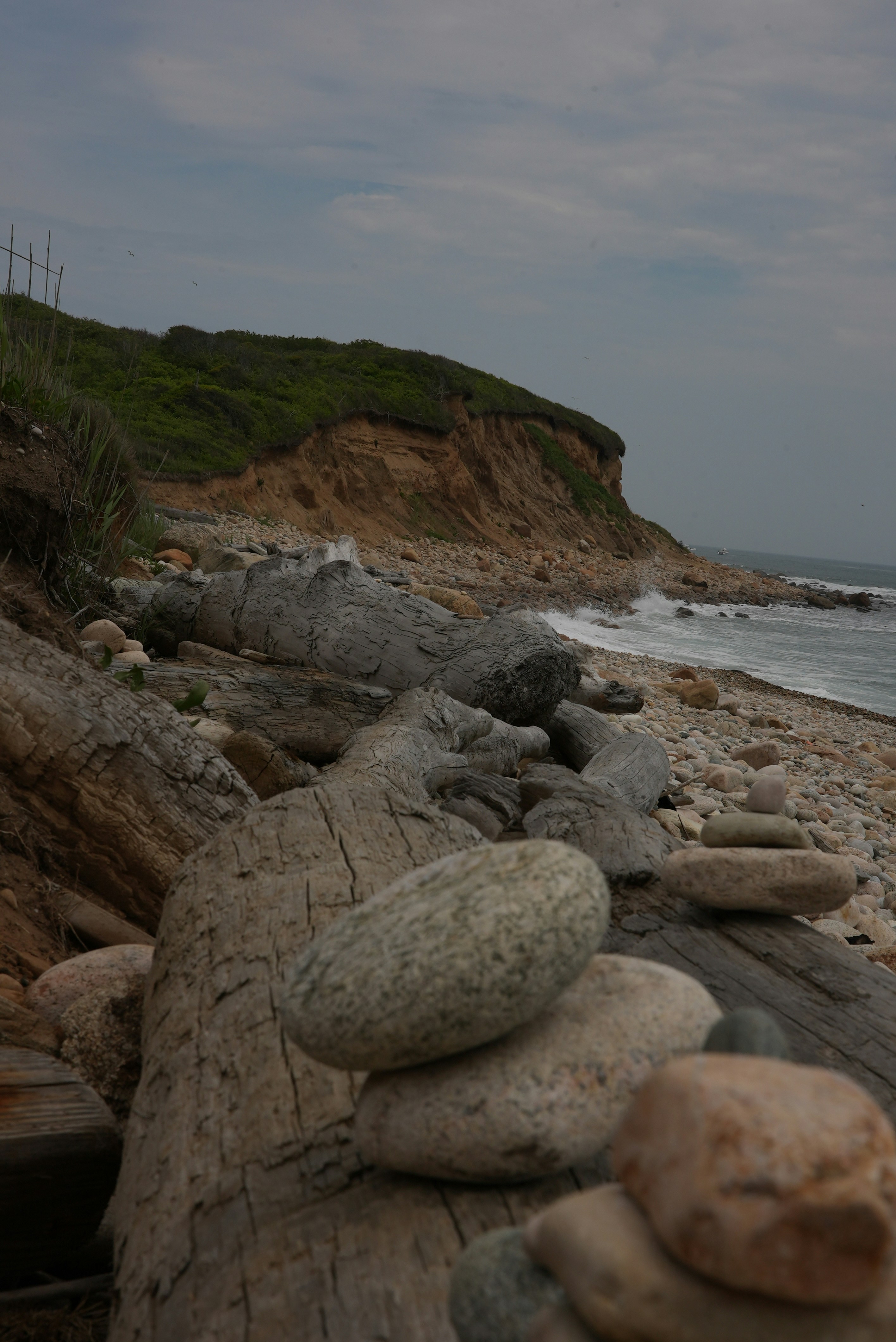Weathered Driftwood and Pebbled Shoreline at Dusk Cliff