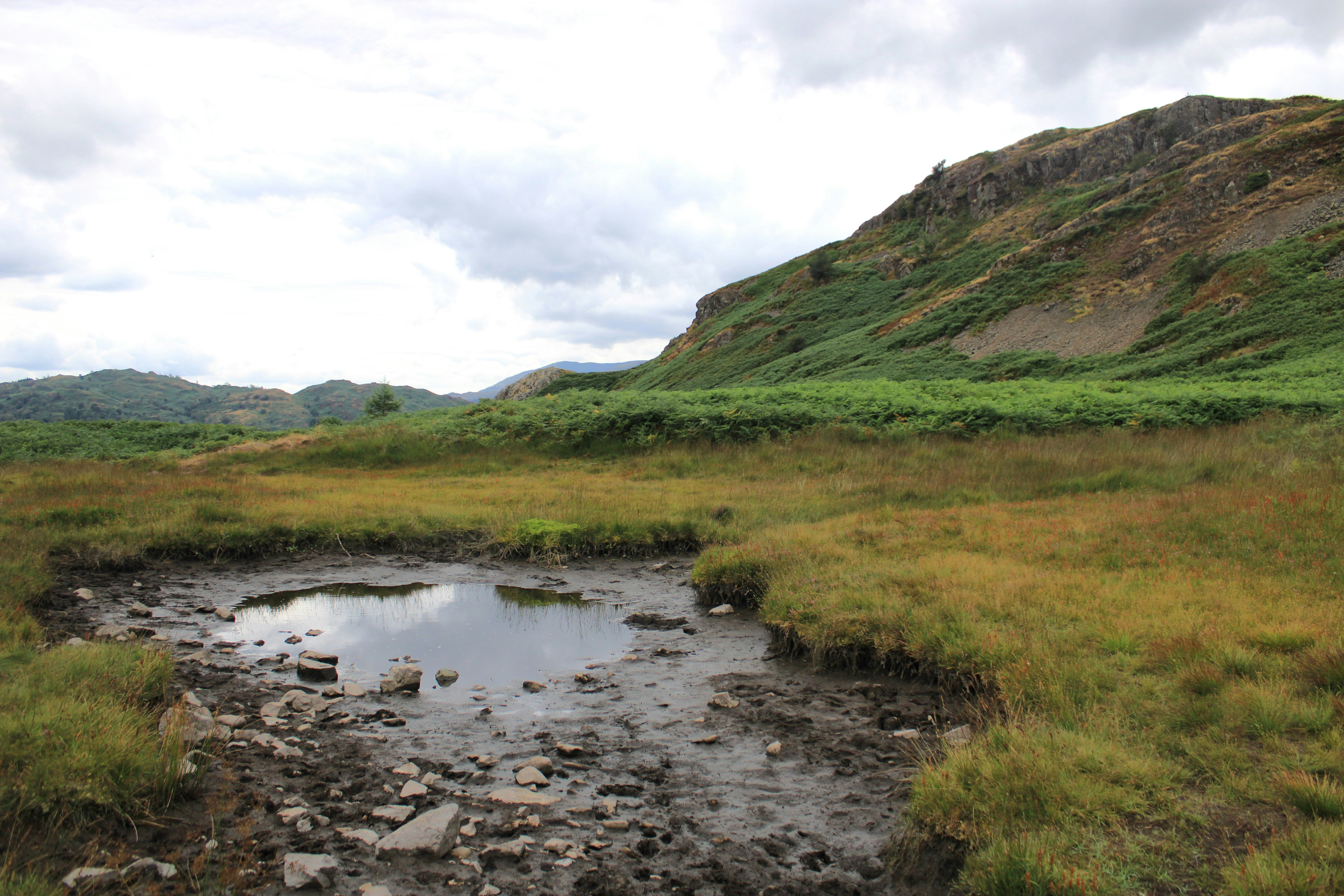 Rock-strewn stream bed fills a shallow pool at the foreground, with grassy flats and a rugged hillside rising in the distance under a cloudy sky.
