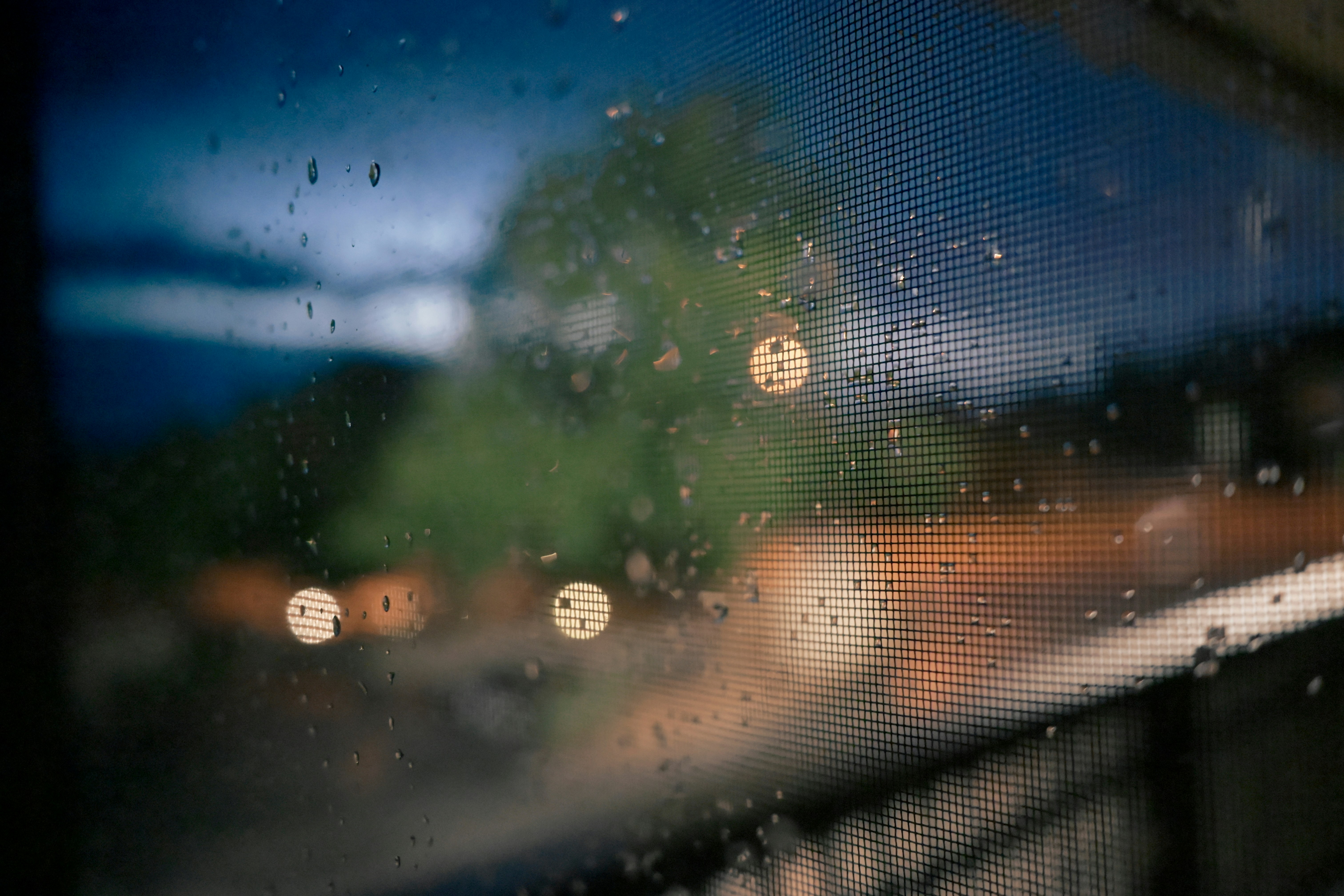 Rain-on-Glass Reality: Out-of-Focus Bokeh and City Lights