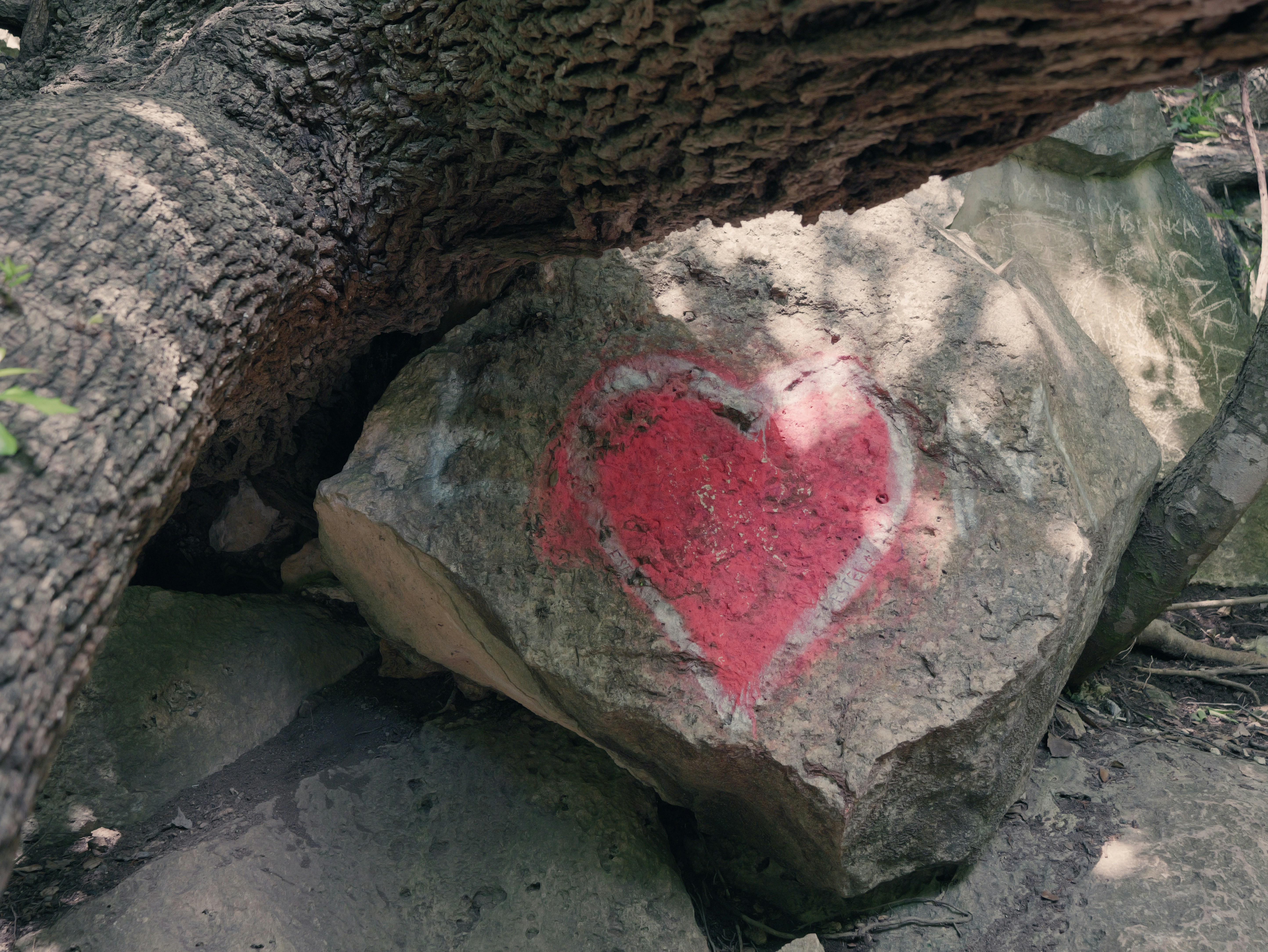 Red Heart in Rough Stone: A Quiet Moment by the Fallen Branch
