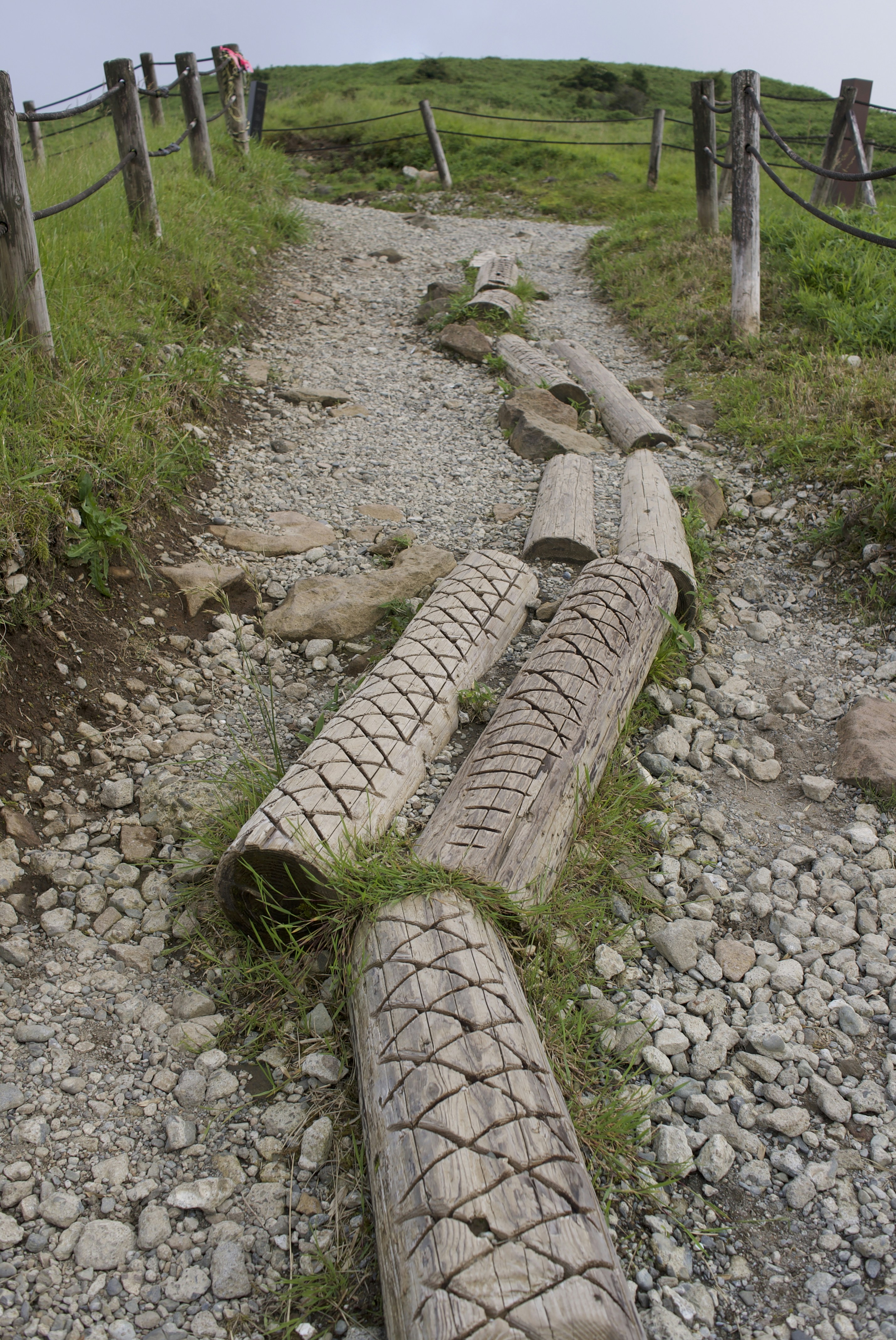 Trail of Weathered Logs: A Winding Path Through Pebble and Grass