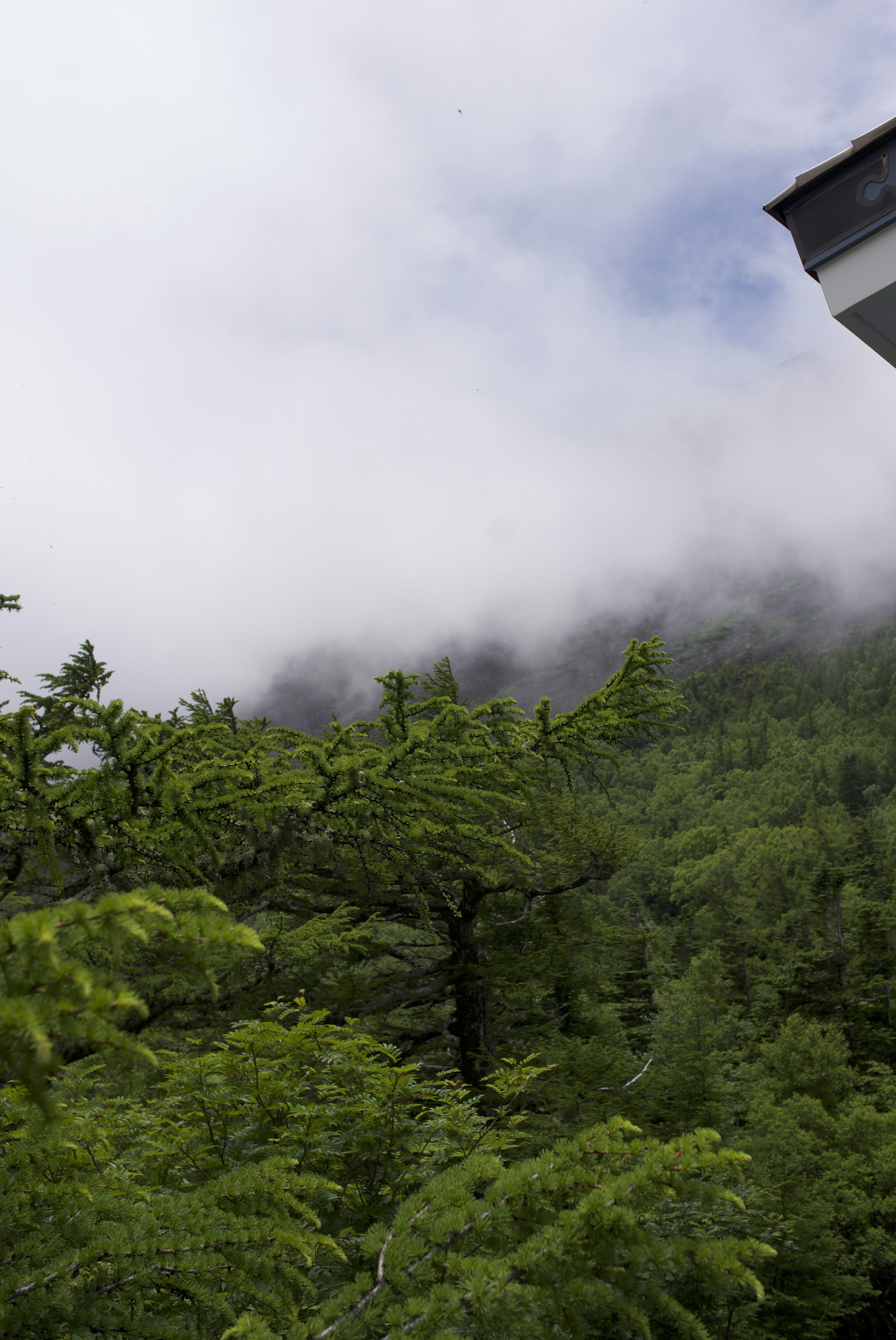 Mist-Clad Ridge Beneath a Sliver of Sky
