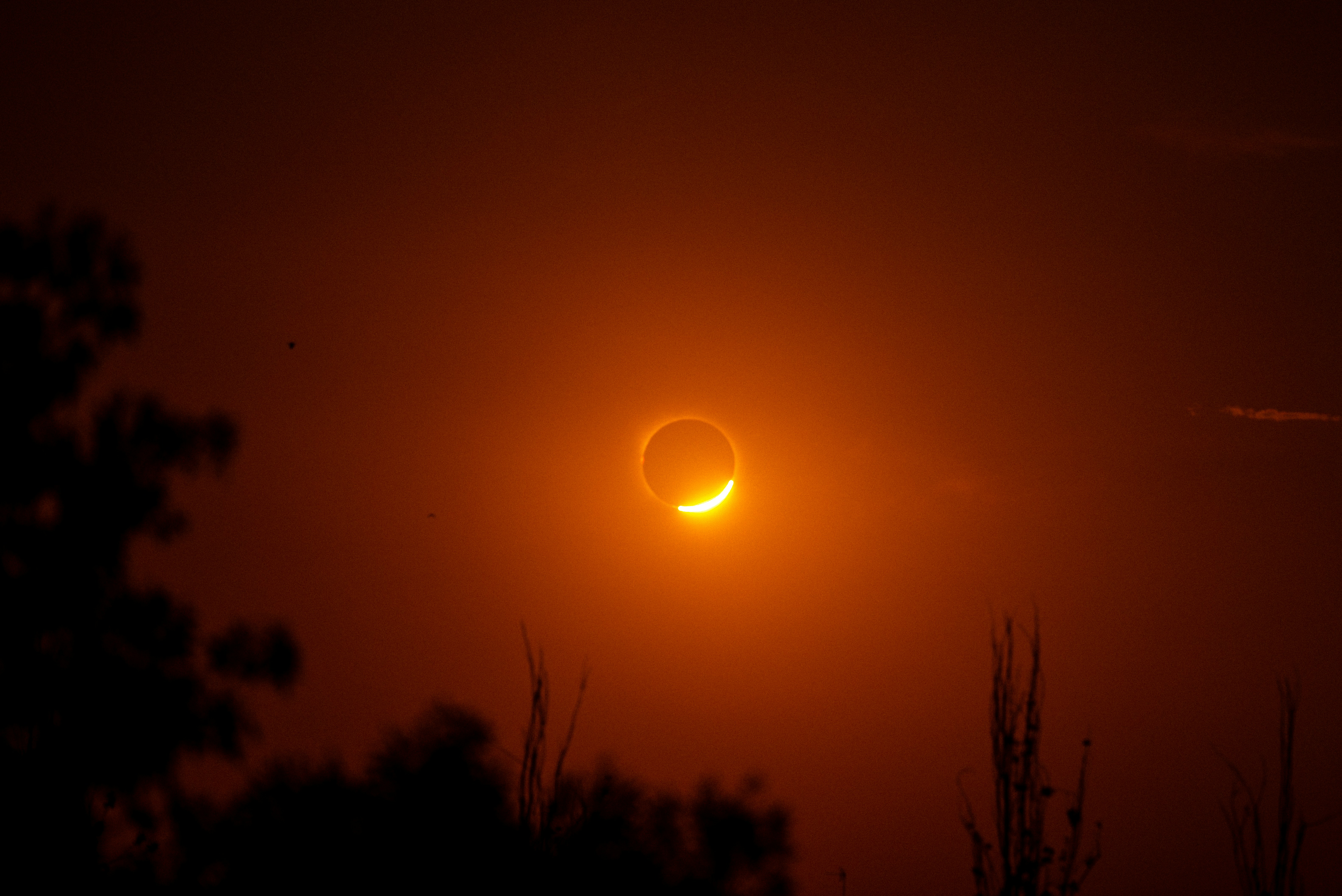 Solar Crescent at Dusk: Eclipse Fringe Across a Silhouetted Landscape