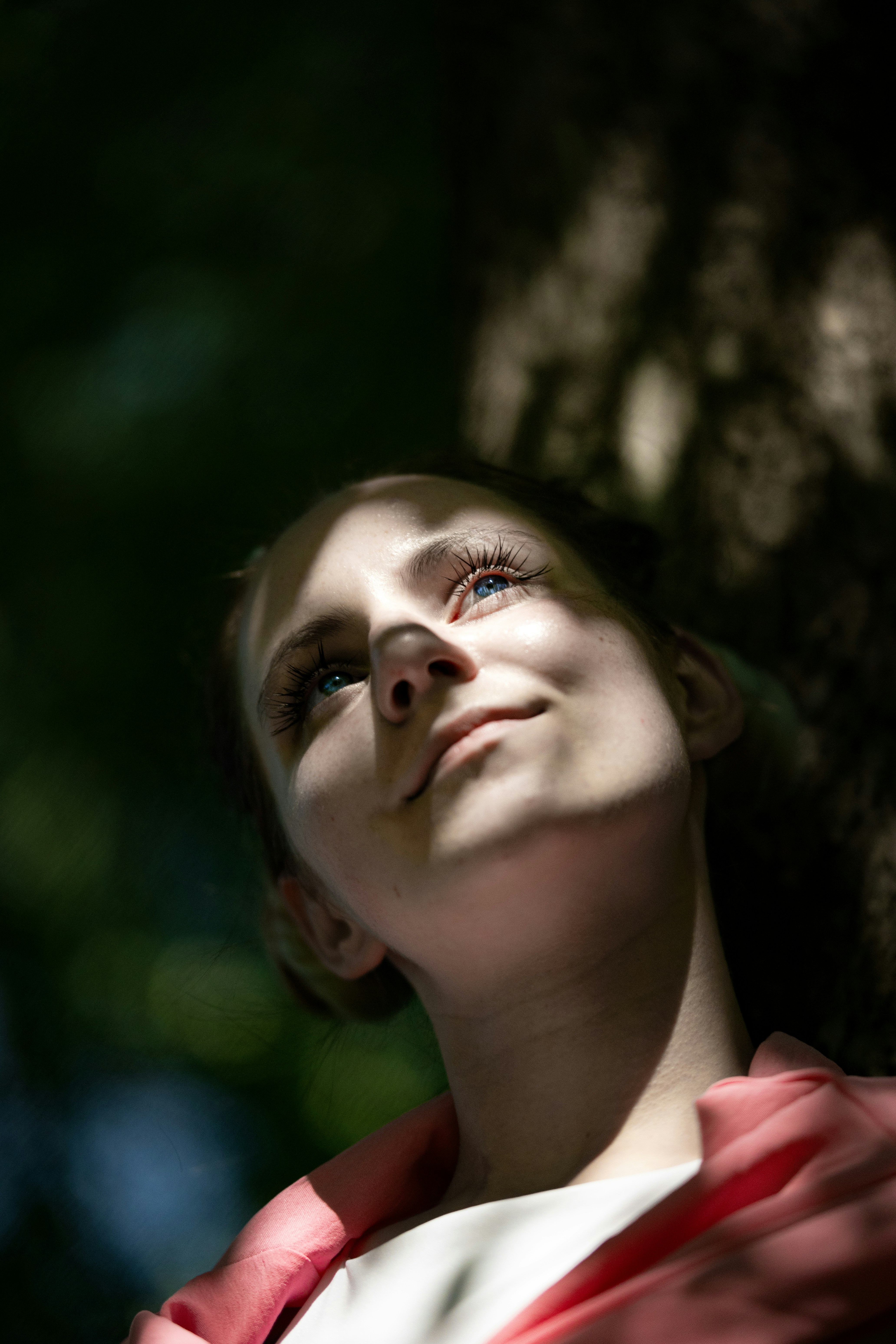 Sunlit gaze through a canopy window